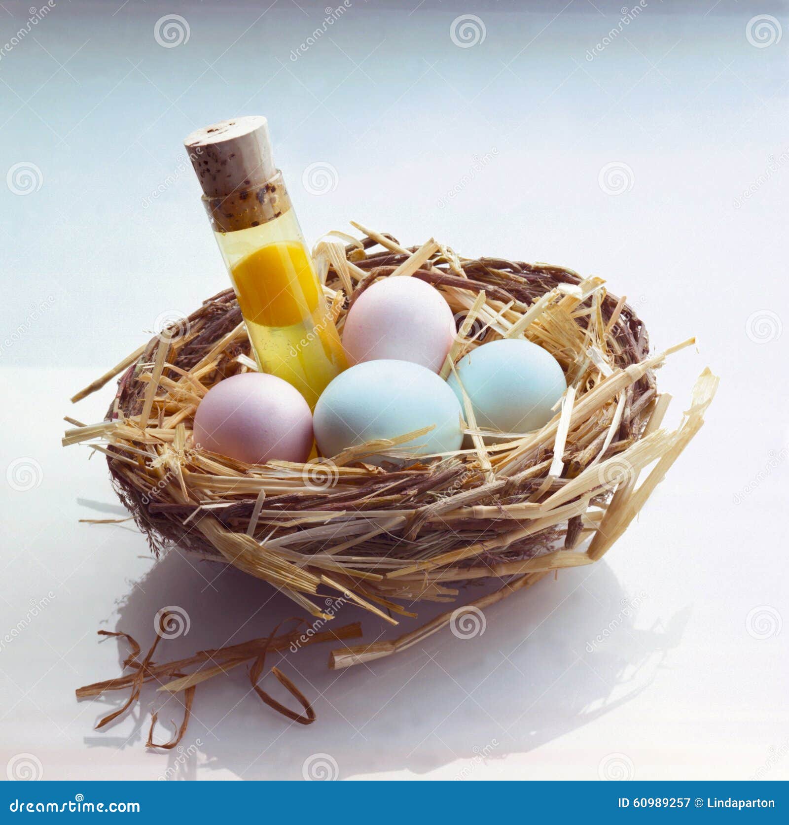 In Vitro or IVF,Symbolized with Chicken Eggs, Test Tube, and Nest Stock ...