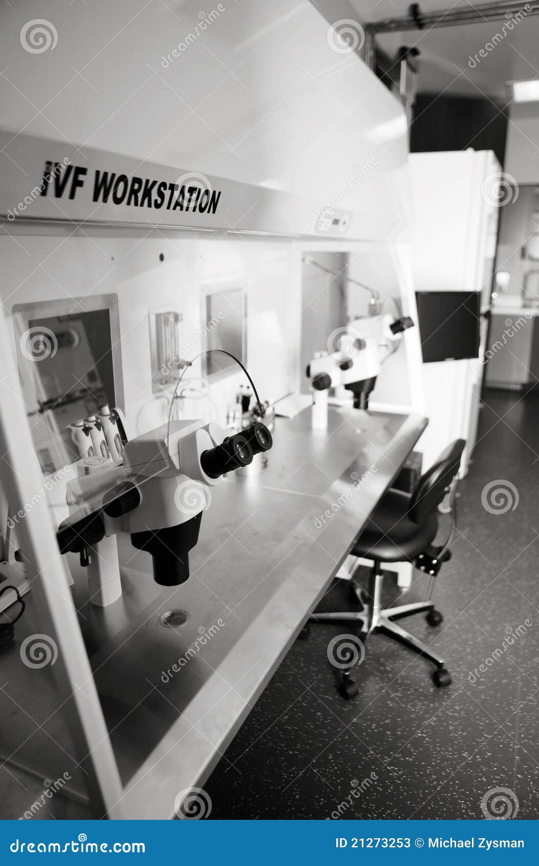 In Vitro Lab Workstation stock image. Image of embryologist - 21273253