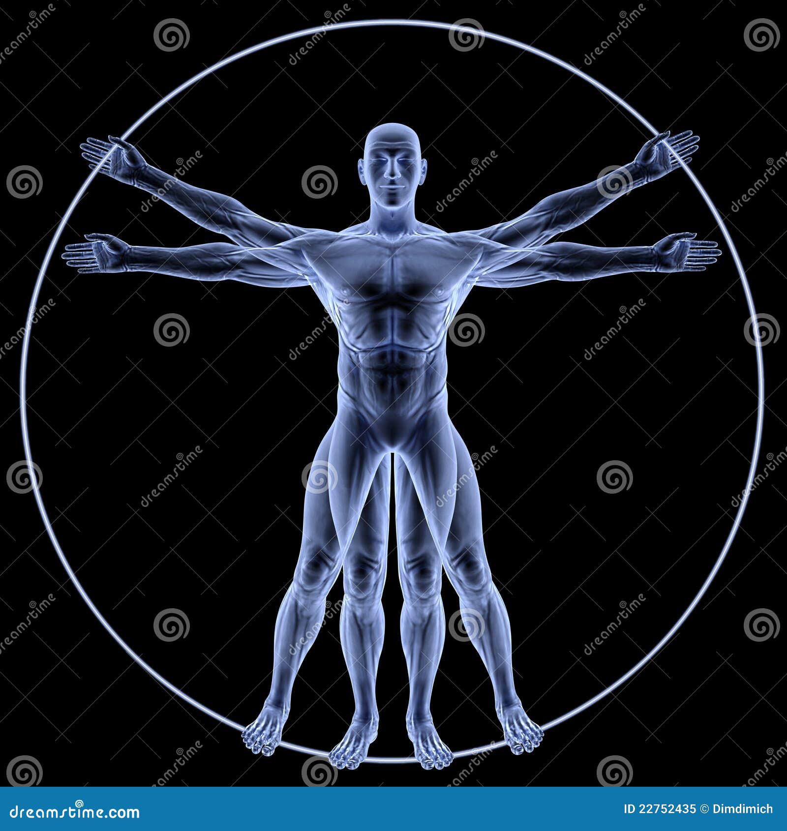 Vitruvian Royalty-Free Stock Photo | CartoonDealer.com #22752435