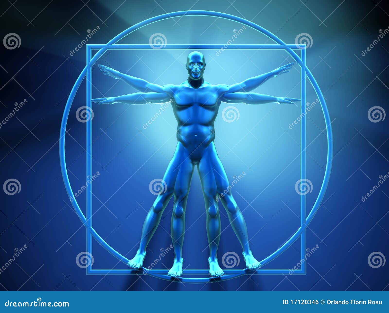 Vitruvian Man Editorial Photo - Image: 17120346