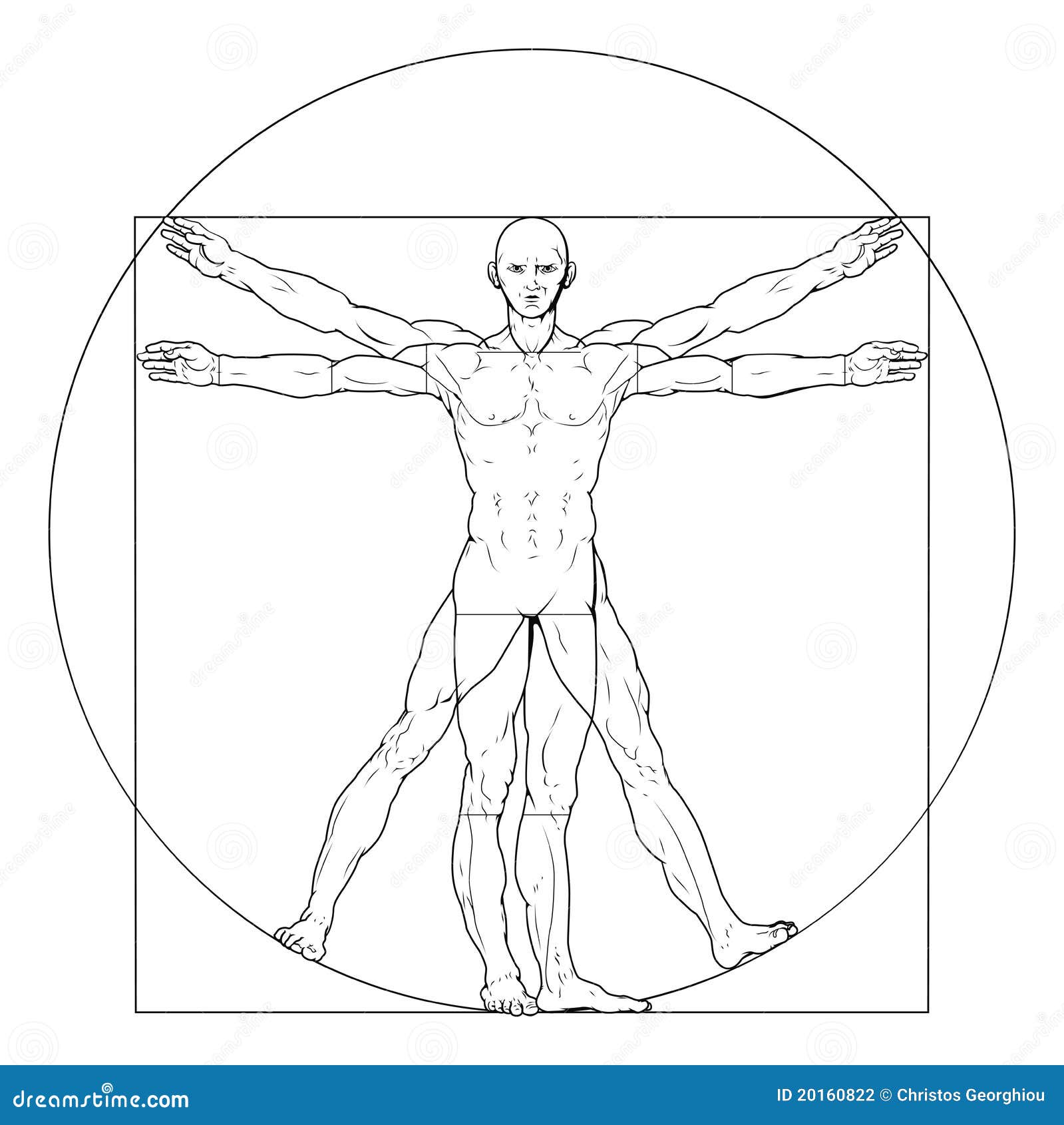 Vitruvian Man Editorial Photography - Image: 20160822
