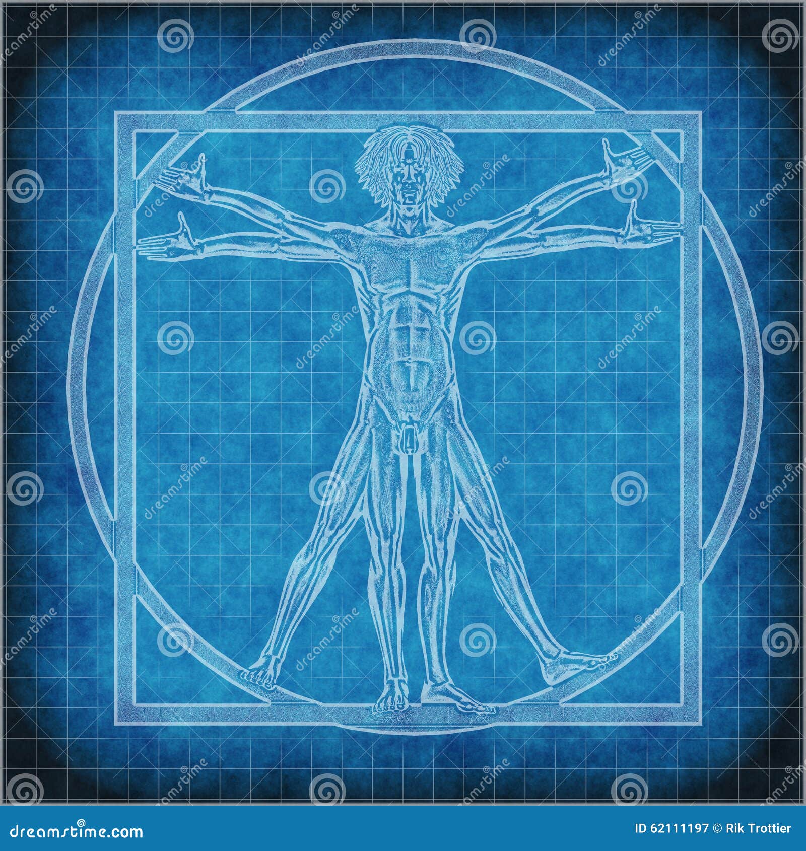 Vitruvian Man editorial photography. Illustration of exact - 62111197