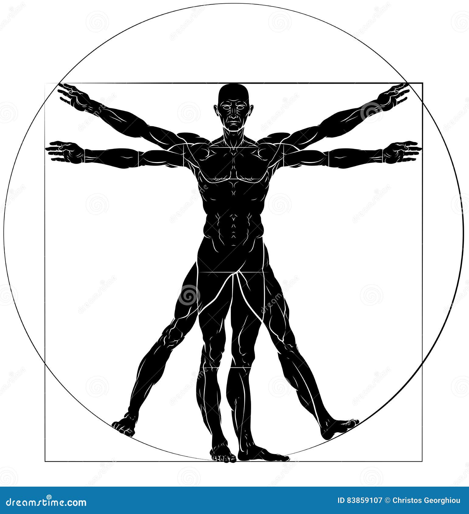 Vitruvian Man Da Vinci Style Figure Editorial Photography ... Vitruvian Man Da Vinci Style Figure Editorial Photography ...
