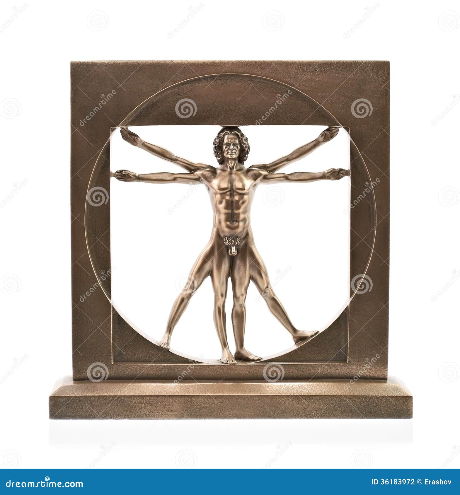 Vitruvian man stock photo. Image of classic, history - 36183972