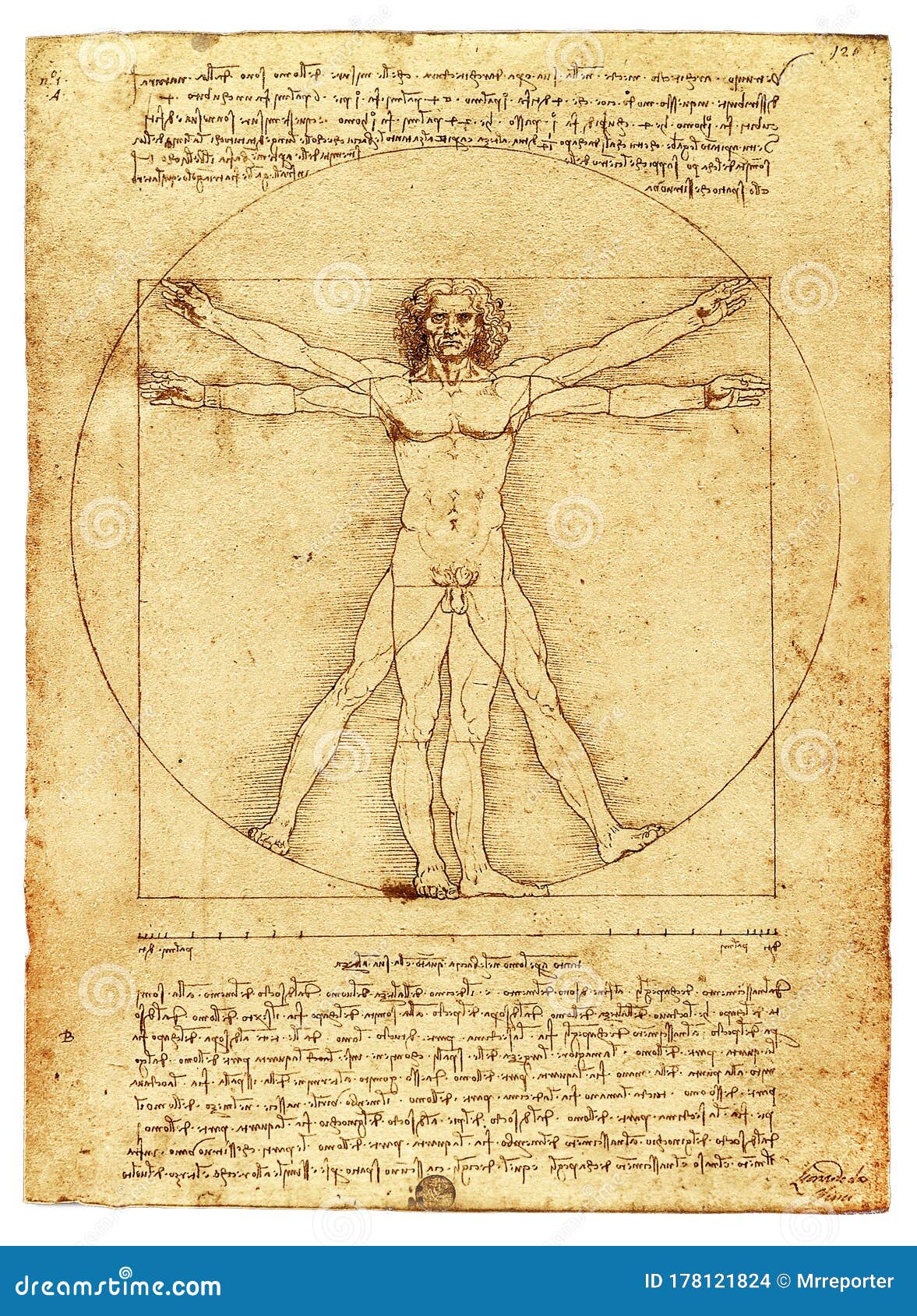 Vitruvian Man by Leonardo Da Vinci Editorial Stock Image - Image of ... Vitruvian Man by Leonardo Da Vinci Editorial Stock Image - Image of ...
