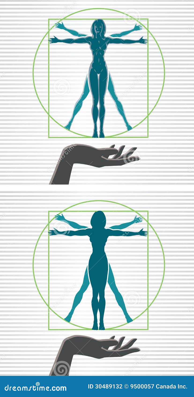 Vitruvian Man Royalty-Free Illustration | CartoonDealer.com #17120346