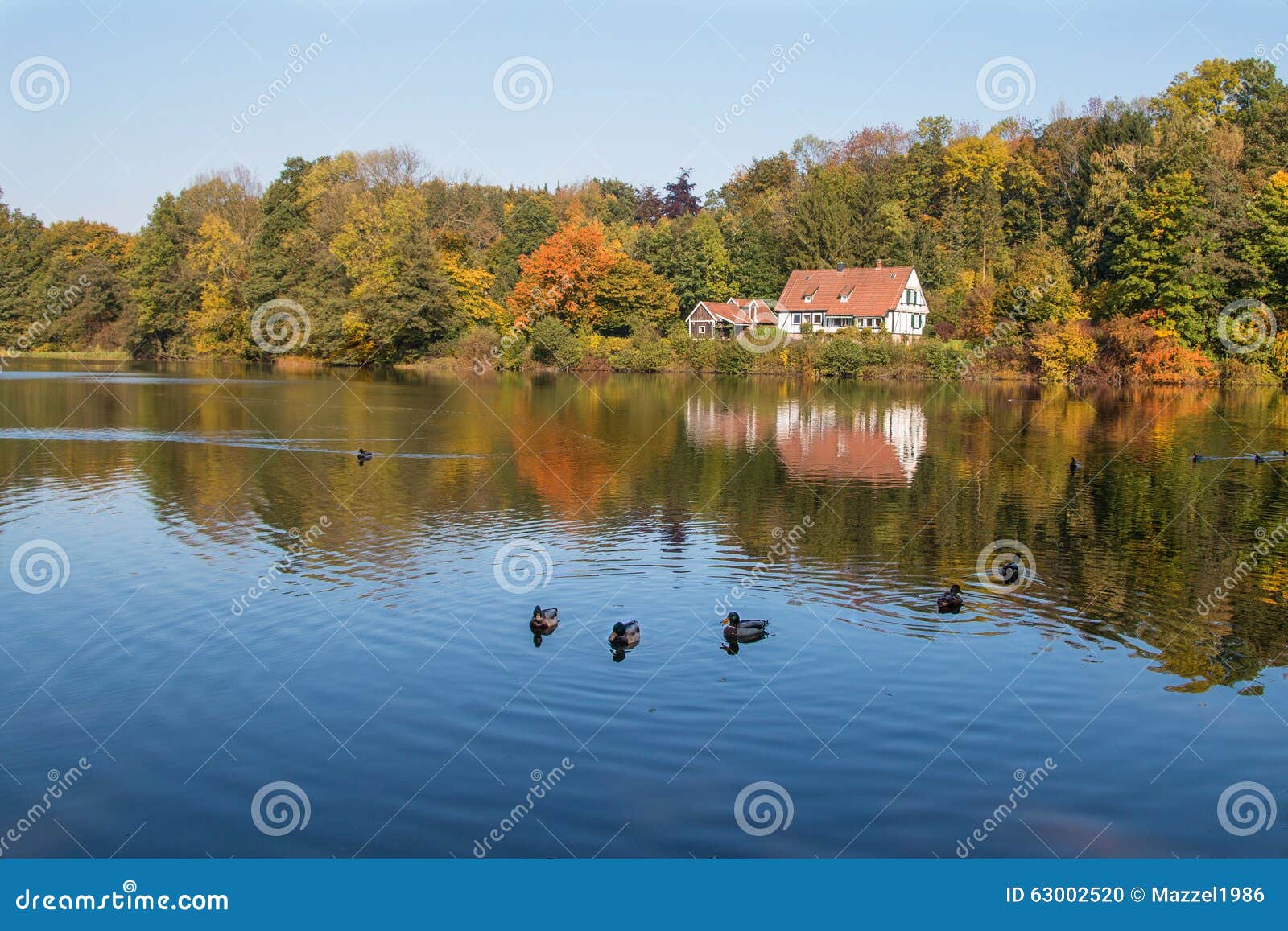 Vitt hus på sjön arkivfoto. Bild av vatten, natur, simning - 63002520