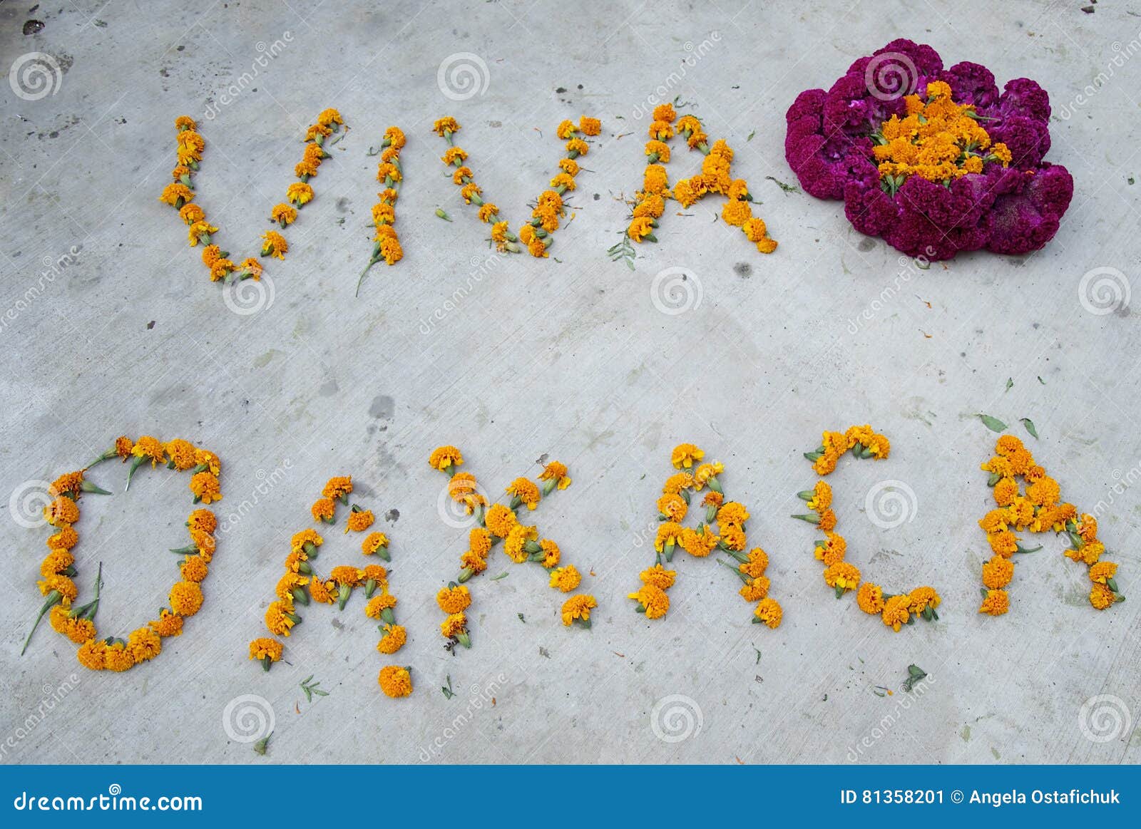 Viva Oaxaca Sign stock image. Image of travel, festival - 81358201