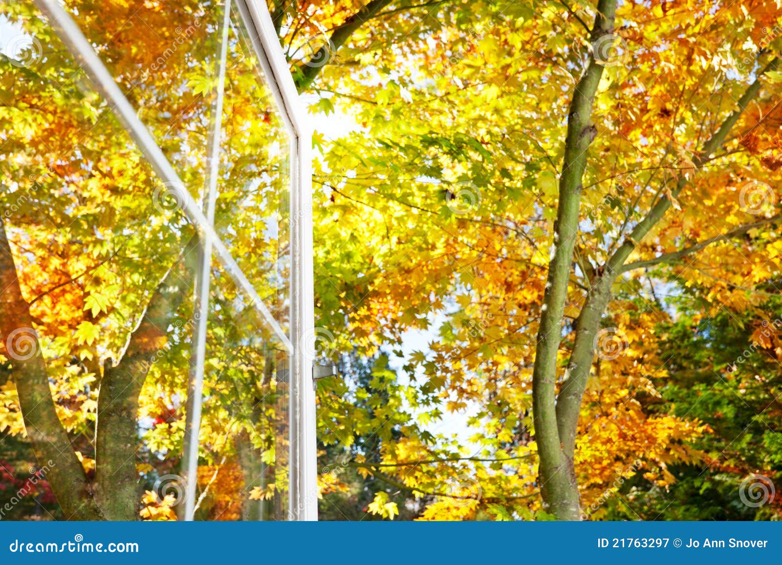 Vivid Autumn Leaves Outside Open Window Stock Image - Image of rural ...
