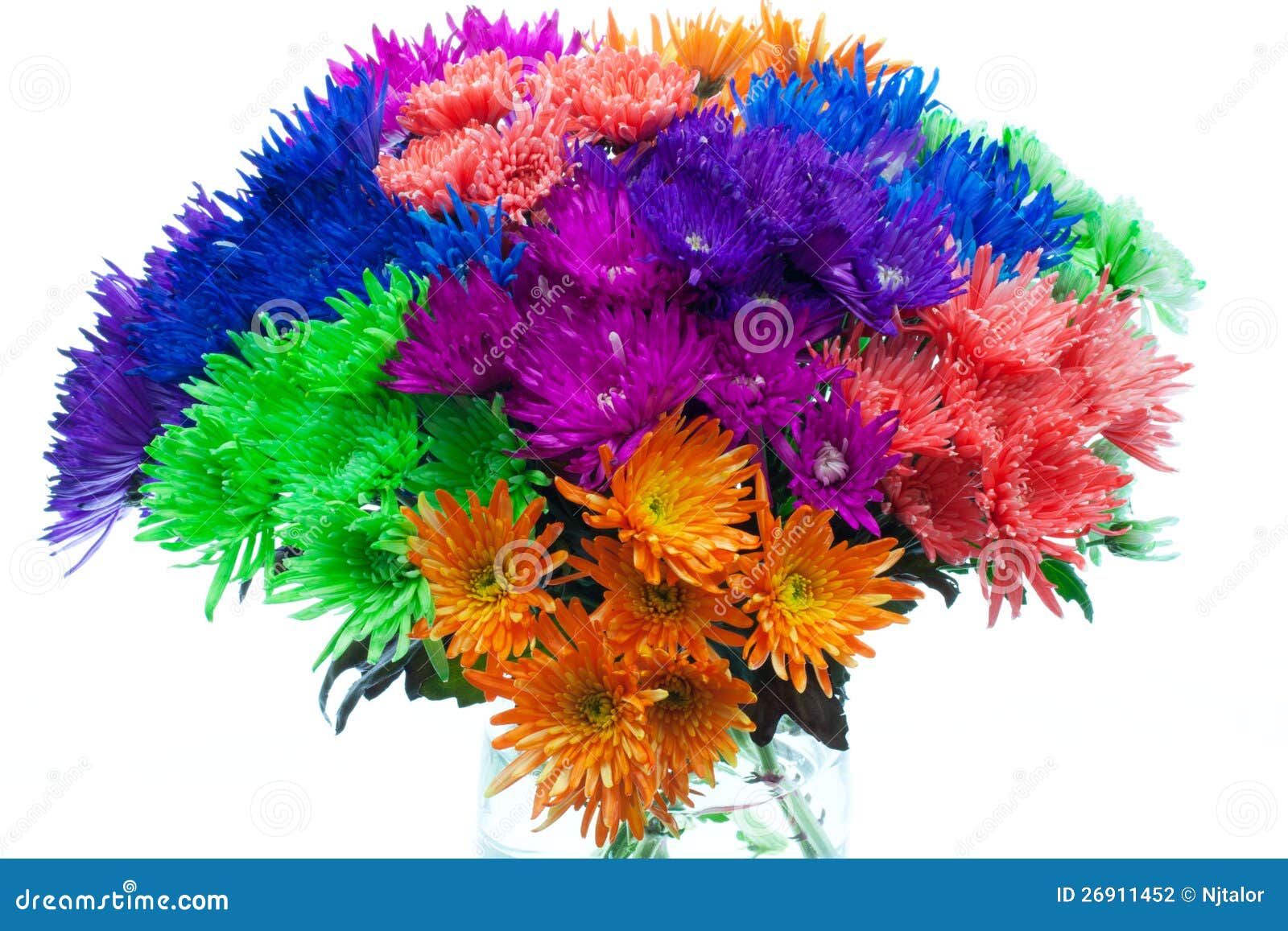 Vivid coloured flowers stock photo. Image of green, bright - 26911452