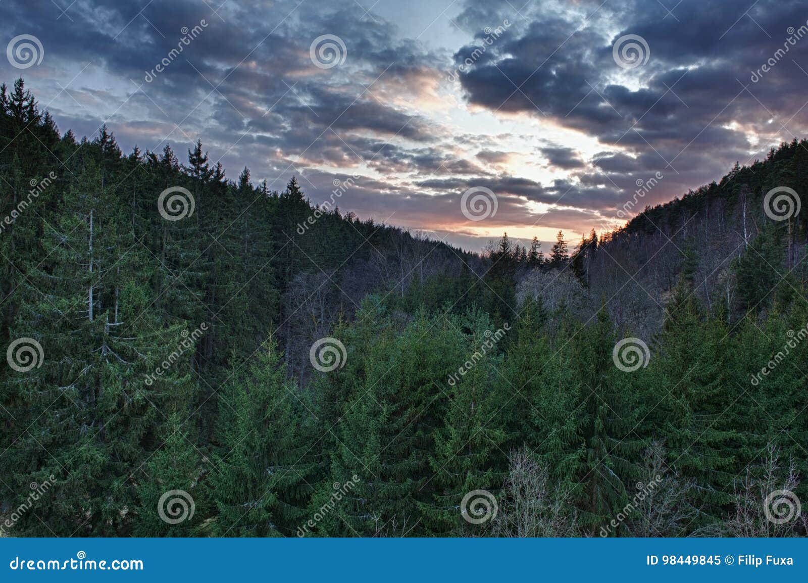 Sunset over the forest stock image. Image of color, landscape - 98449845