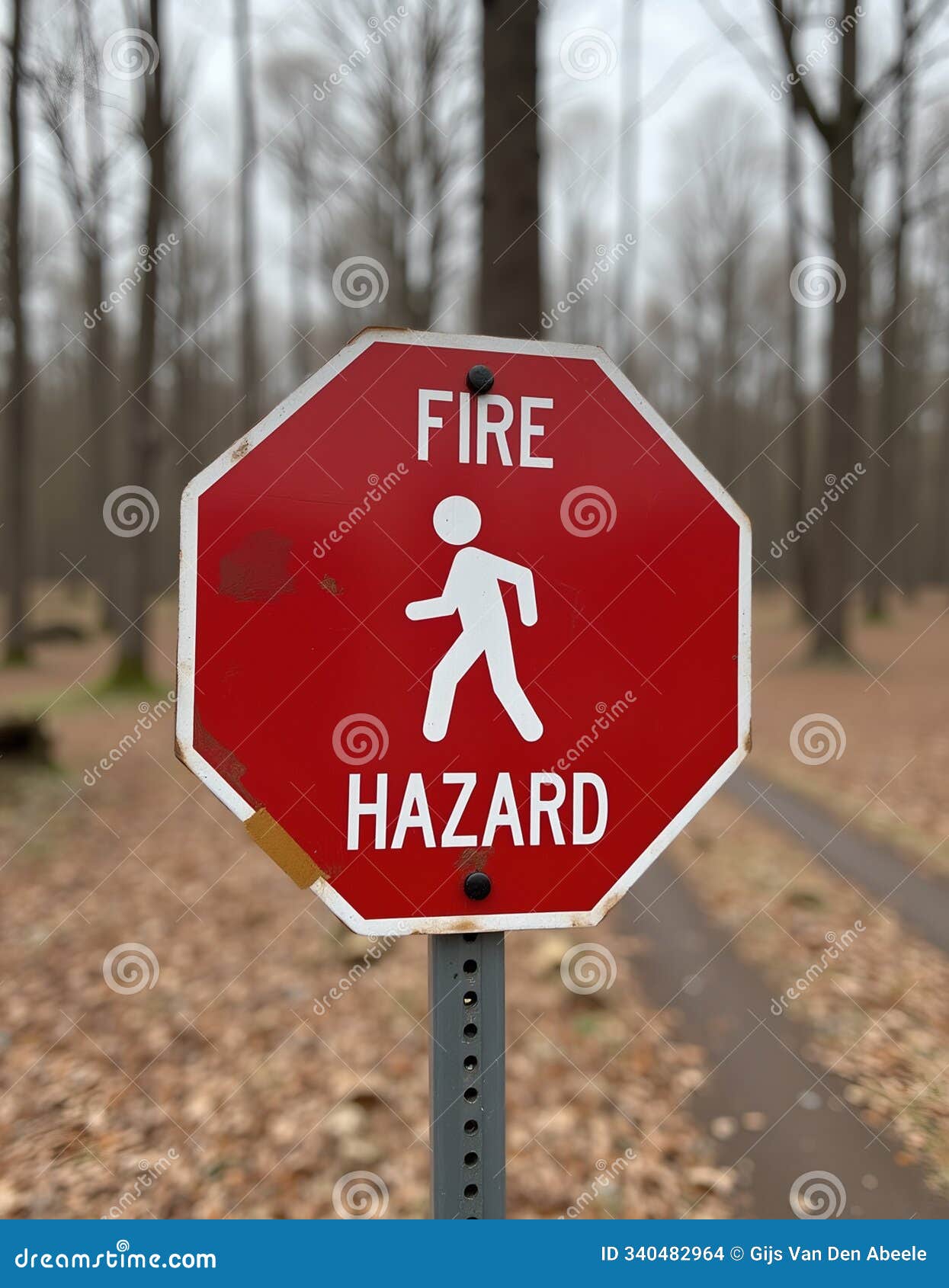 Vivid Fire Hazard Sign Against Dry Forest Backdrop Stock Illustration ...