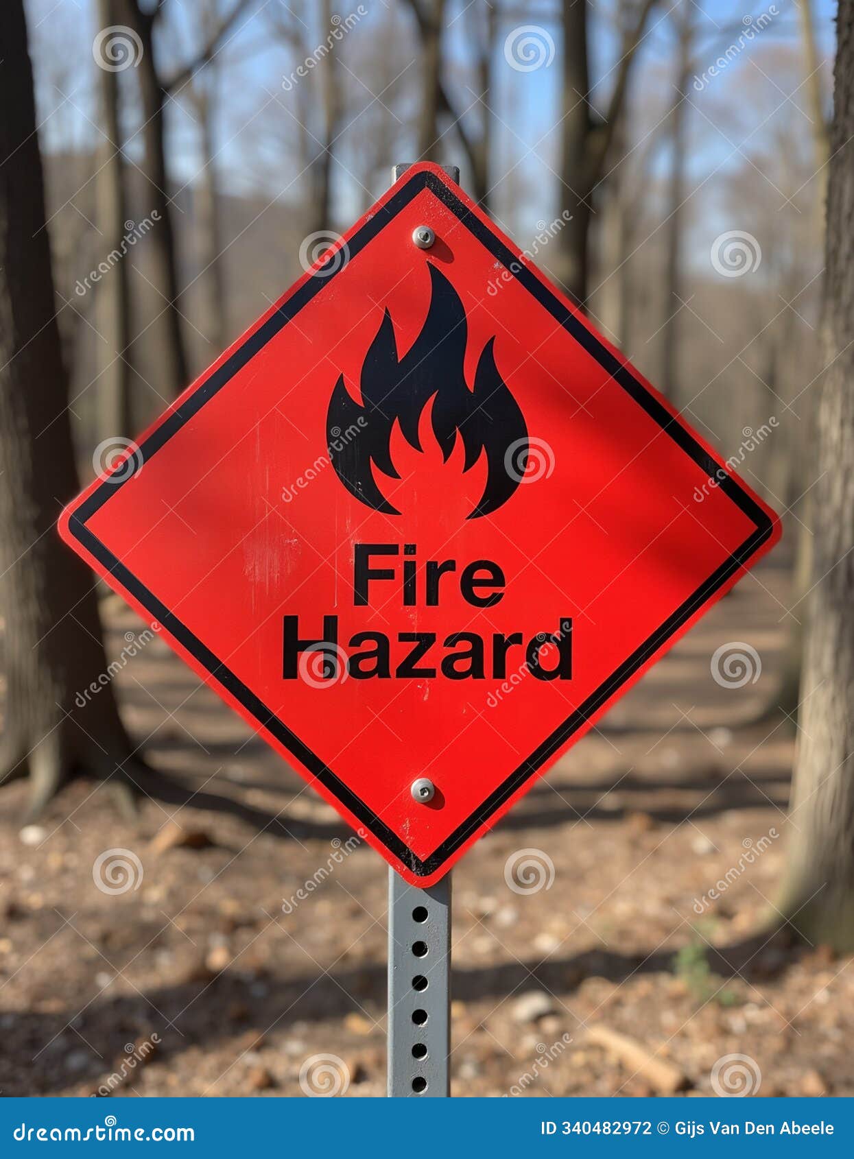 Vivid Fire Hazard Sign Against Dry Forest Backdrop Stock Illustration ...