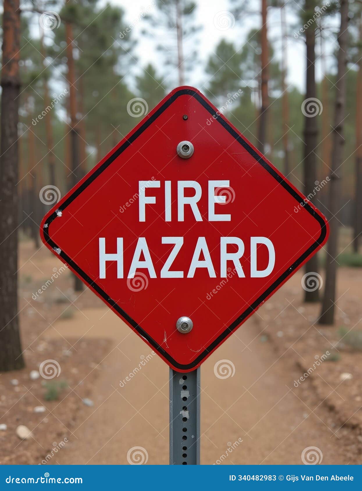 Vivid Fire Hazard Sign Against Dry Forest Backdrop Stock Illustration ...