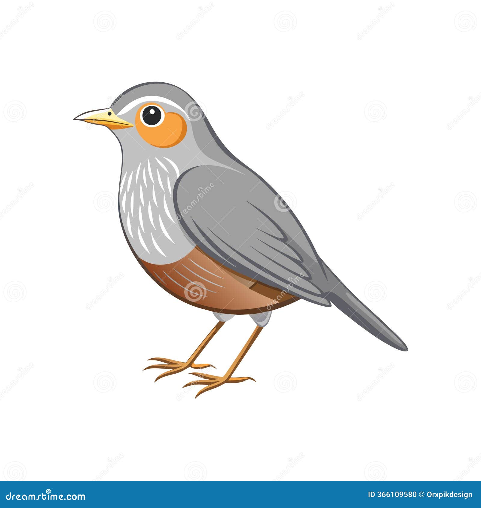 Vivid Gray-cheeked Thrush Bird Design Royalty-Free Stock Photo ...