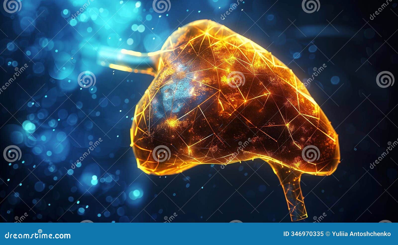 Structure And Function Bifidobacterium. Infographics. Vector ...