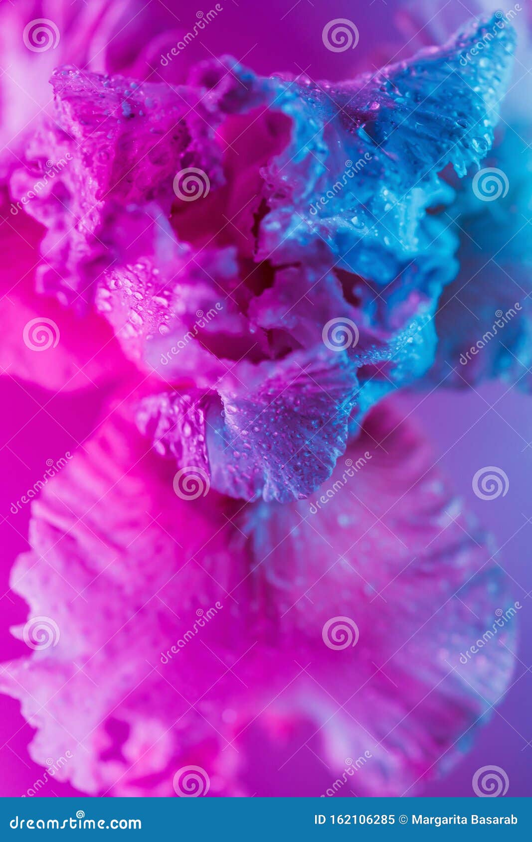 Vivid Neon Background With Bubbles. Colorful Abstract Backdrop With ...