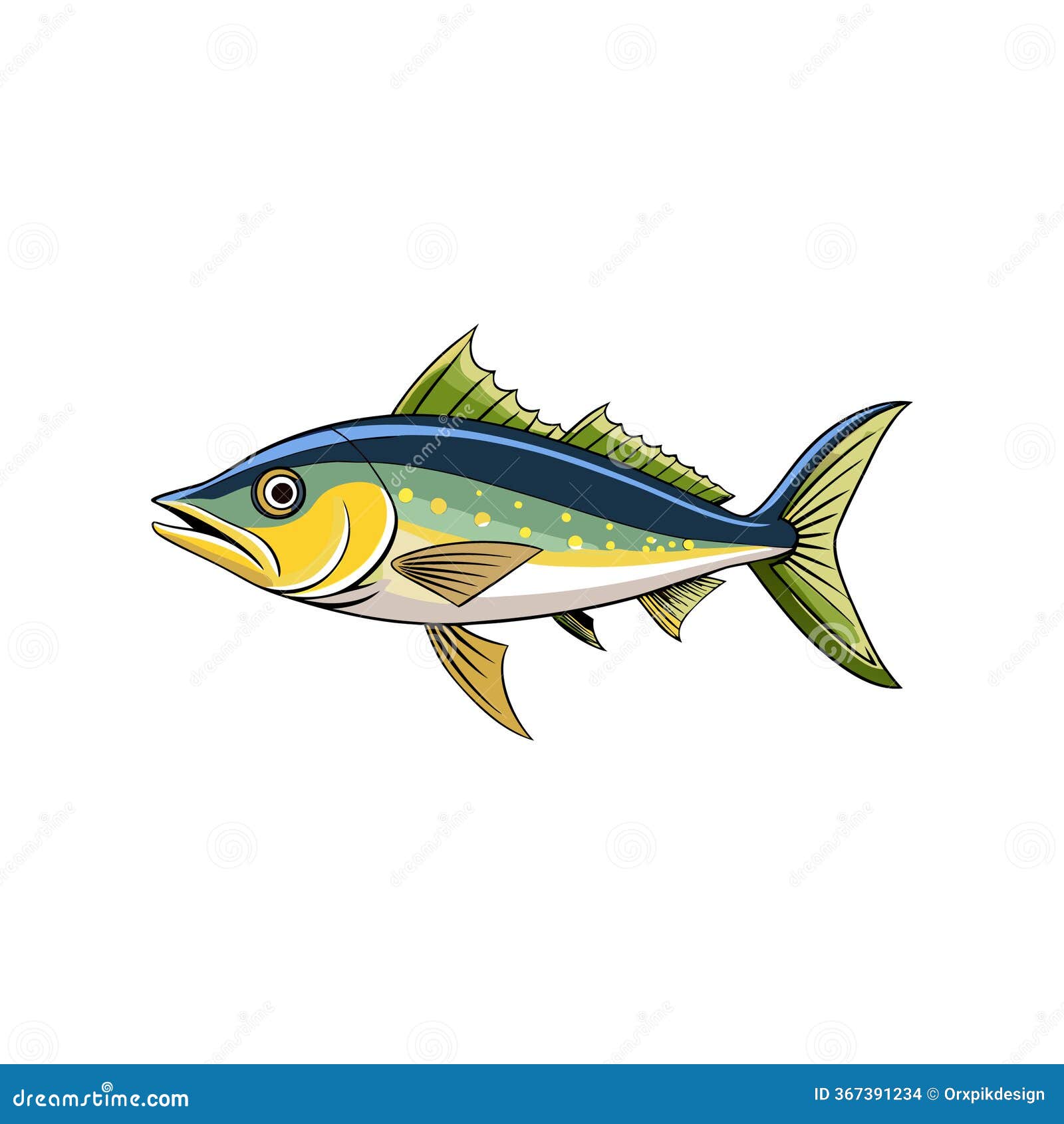 Pollock Color Line Illustration. Ocean Fishes | CartoonDealer.com ...