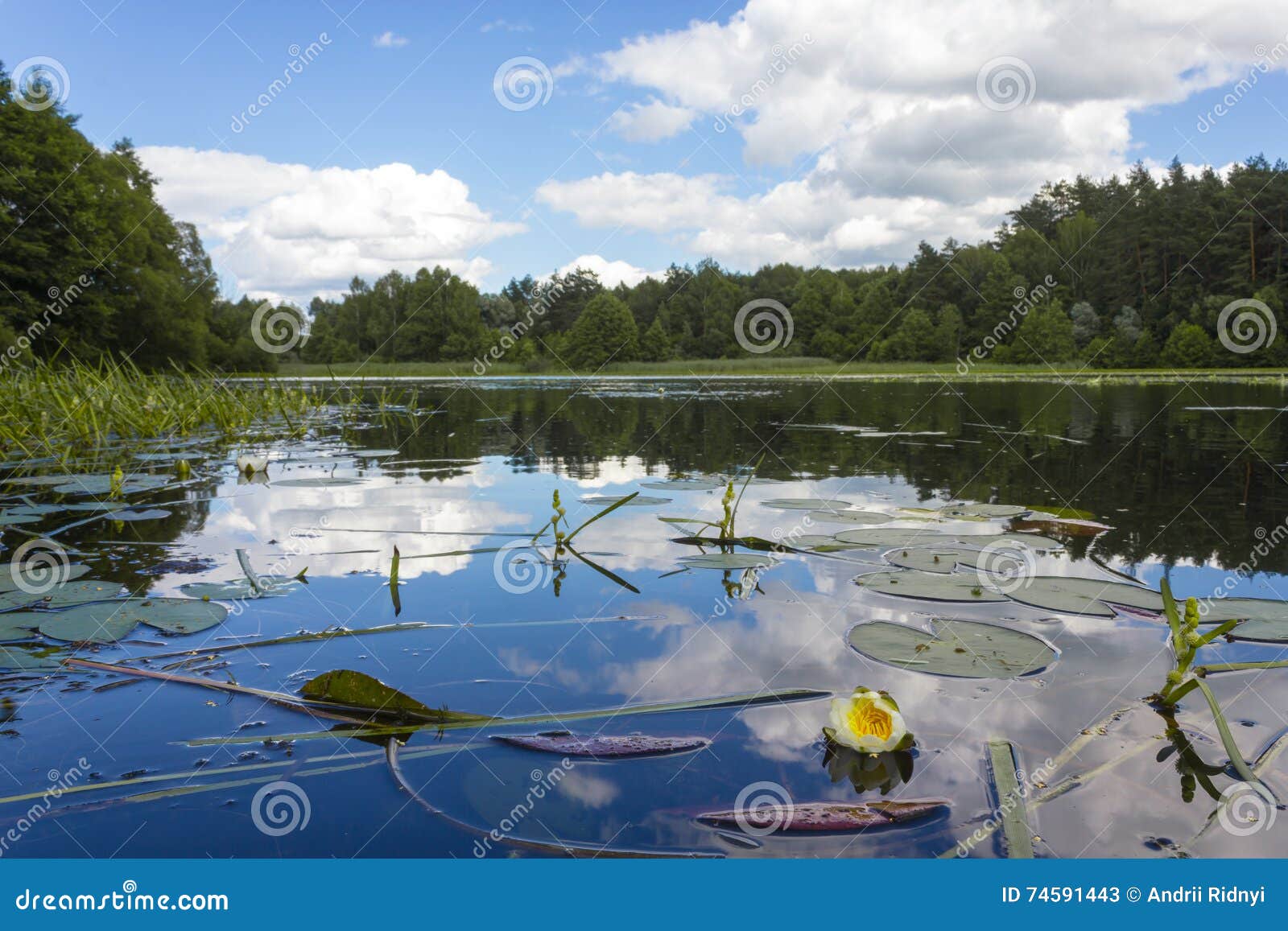 Vivid Reflection of the Sky Stock Image - Image of river, lake: 74591443