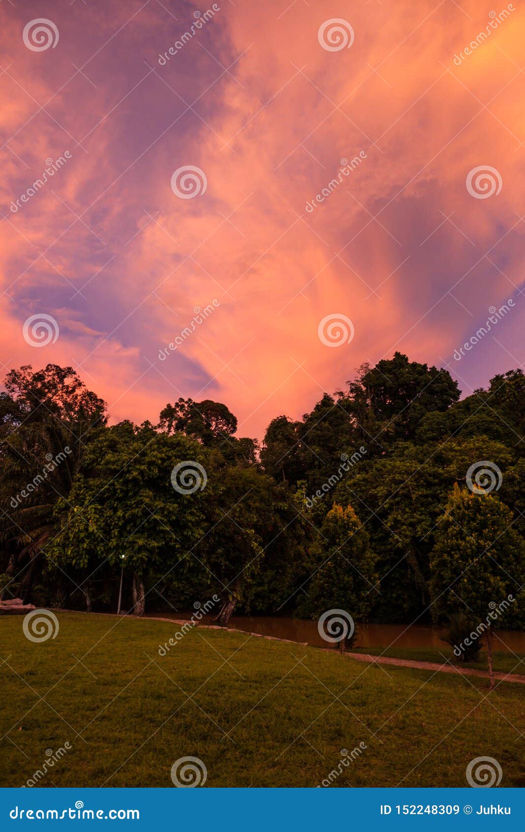 Vivid Sunset Clouds and Trees Stock Image - Image of epic, heaven ...