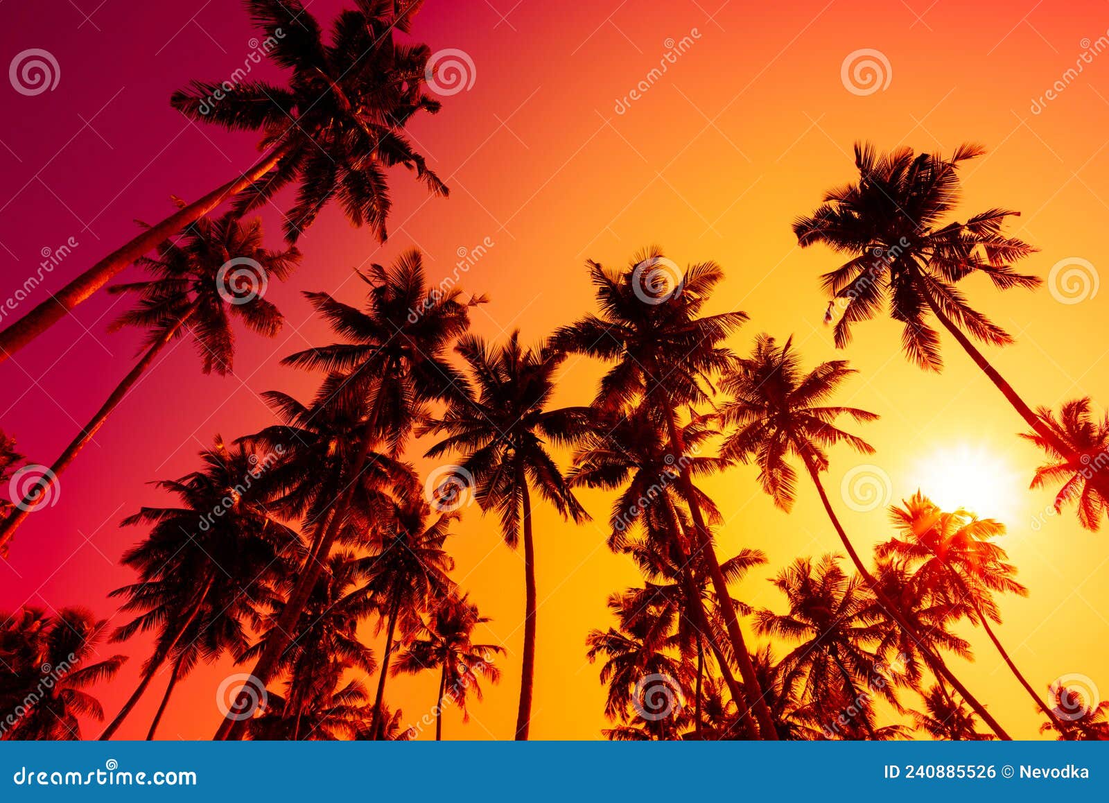 Tropical Beach Sunset with Coconut Palm Trees Stock Photo - Image of ...