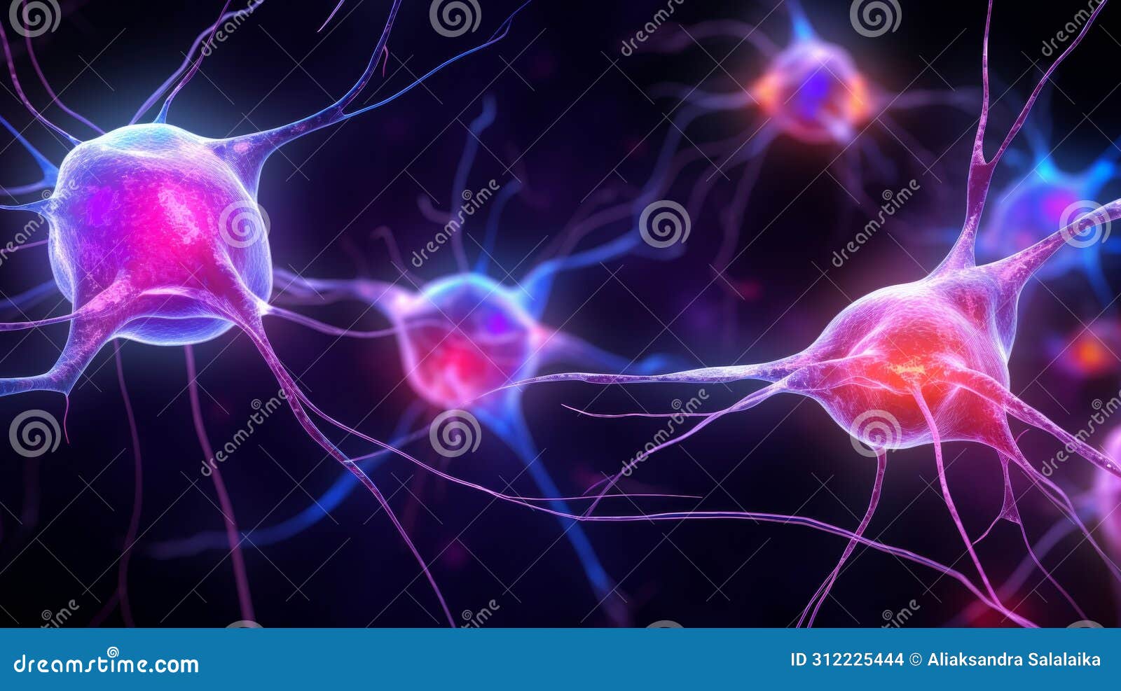 Vivid Visualization Exploring Active Neural Networks And Pathways In ... Vivid Visualization Exploring Active Neural Networks And Pathways In ...