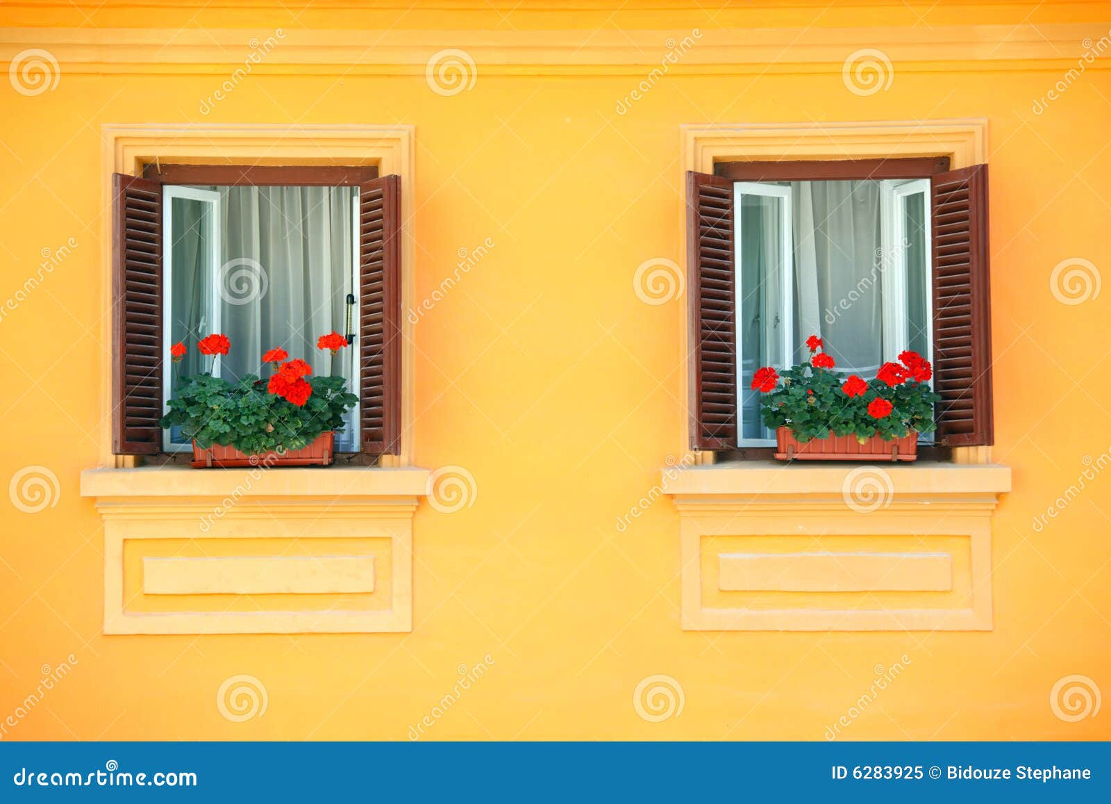 Vivid wall windows stock image. Image of background, plant - 6283925