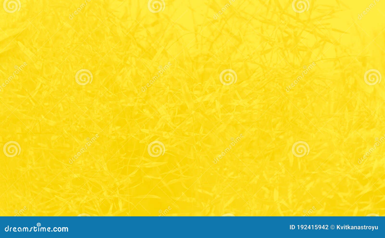 Vivid Yellow Background, Panorama Abstract Blurred Background, Leaves ...