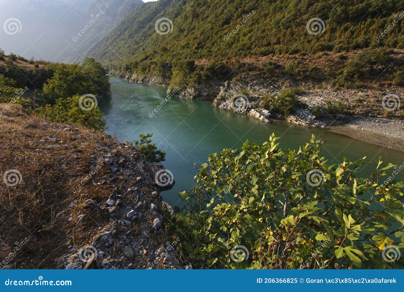 The Vjosa River stock image. Image of river, dinarids - 206366825