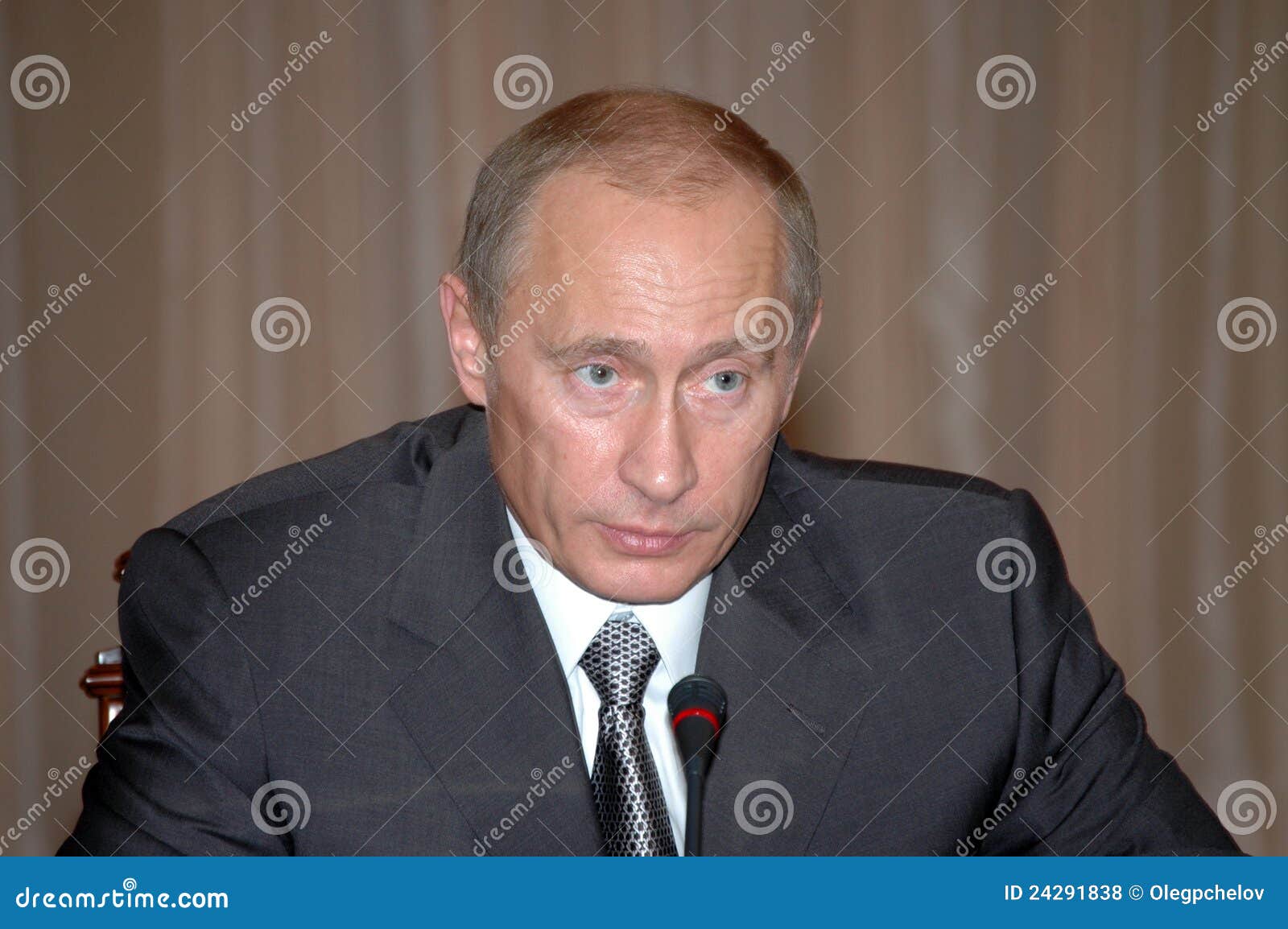 Vladimir Putin editorial stock photo. Image of putin - 24291838