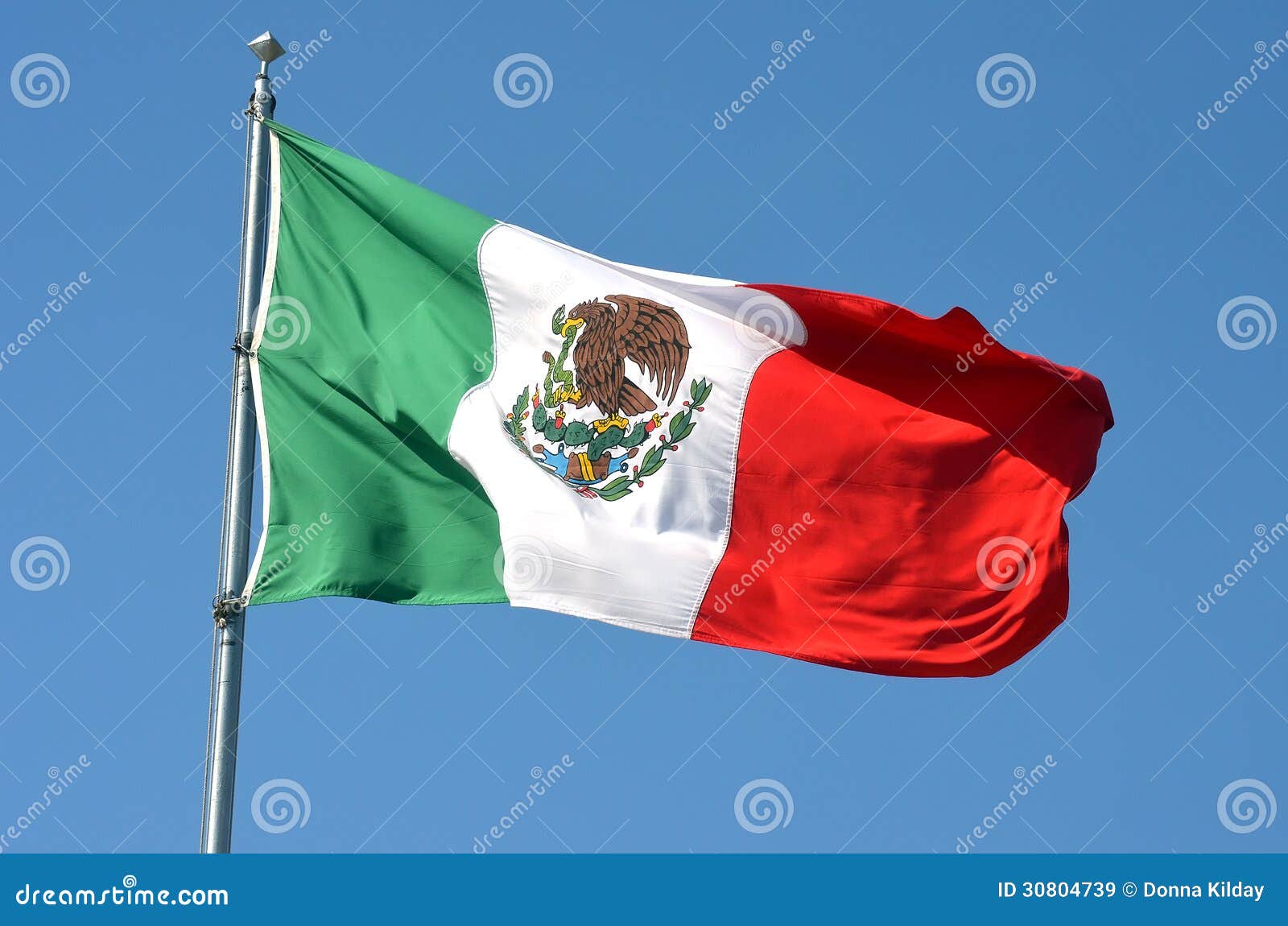 Vlag van Mexico stock afbeelding. Image of tropisch, vlag - 30804739
