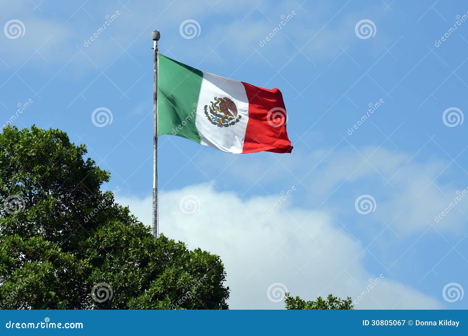 Vlag van Mexico stock afbeelding. Image of personeel - 30805067