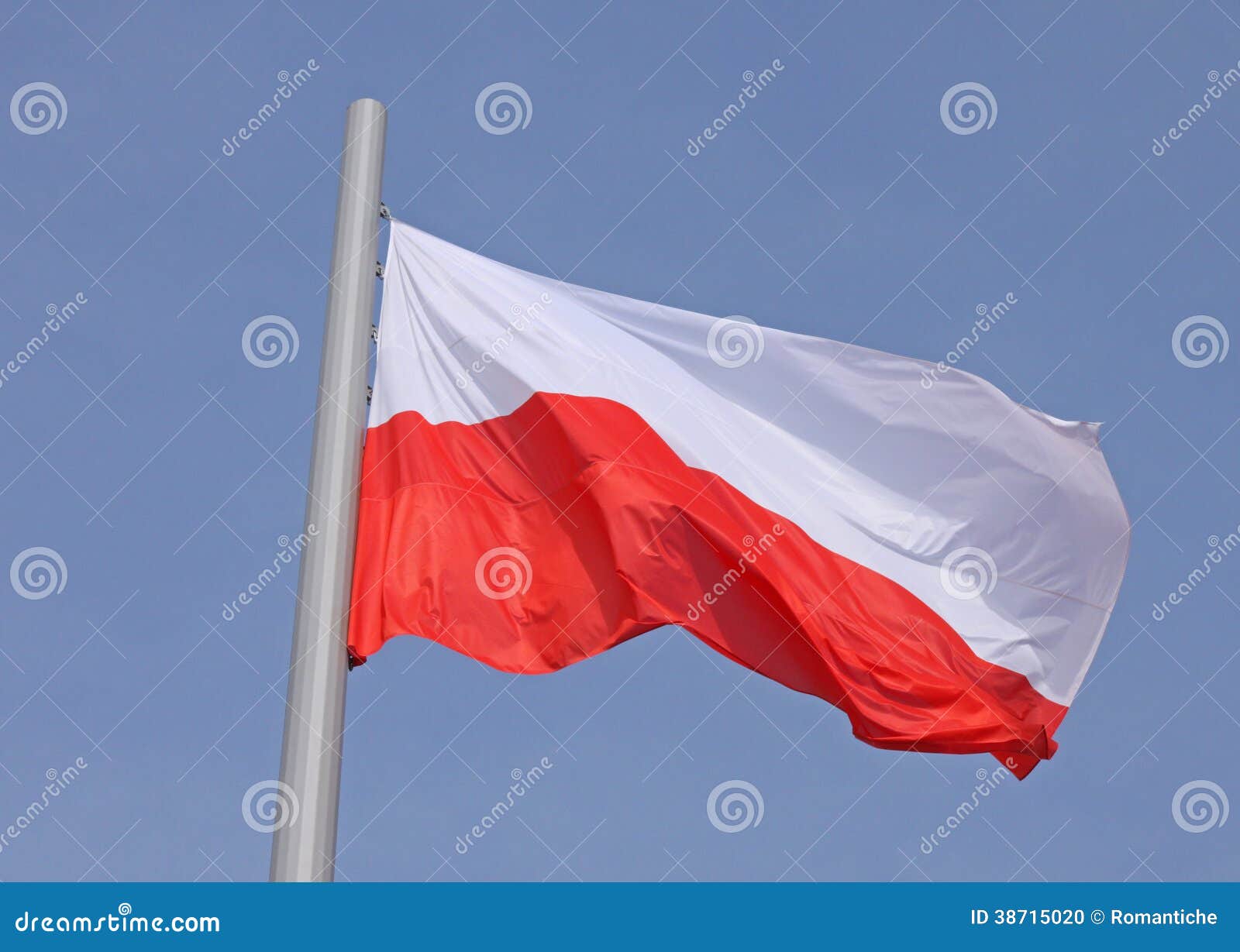 Vlag van Polen stock foto. Image of vlag, symbool, genaturaliseerd ...