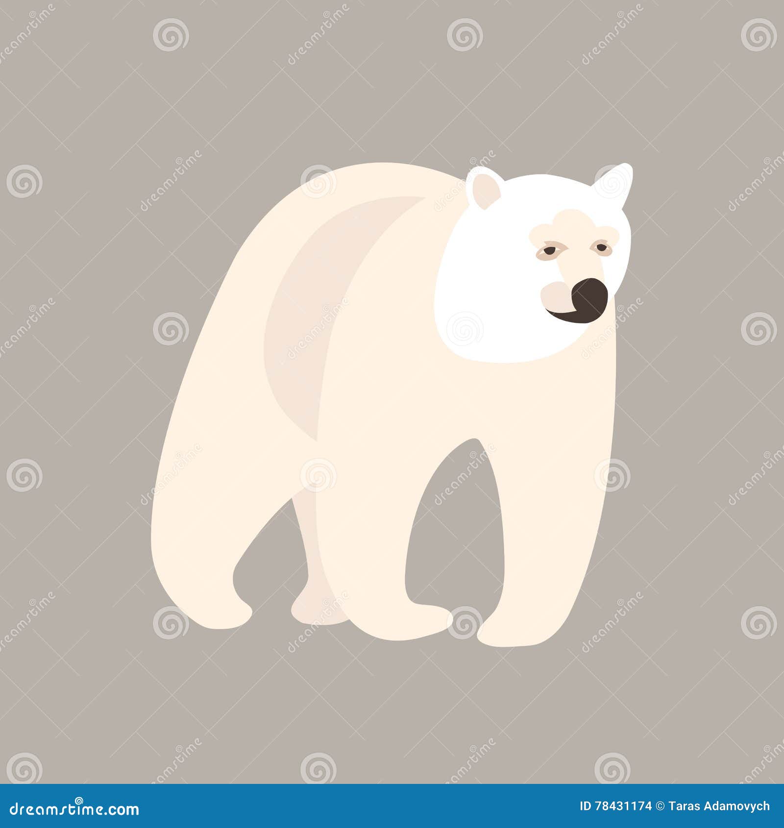 Vlakke Ijsbeer Volwassen Vectorstijl Vector Illustratie - Illustration ...