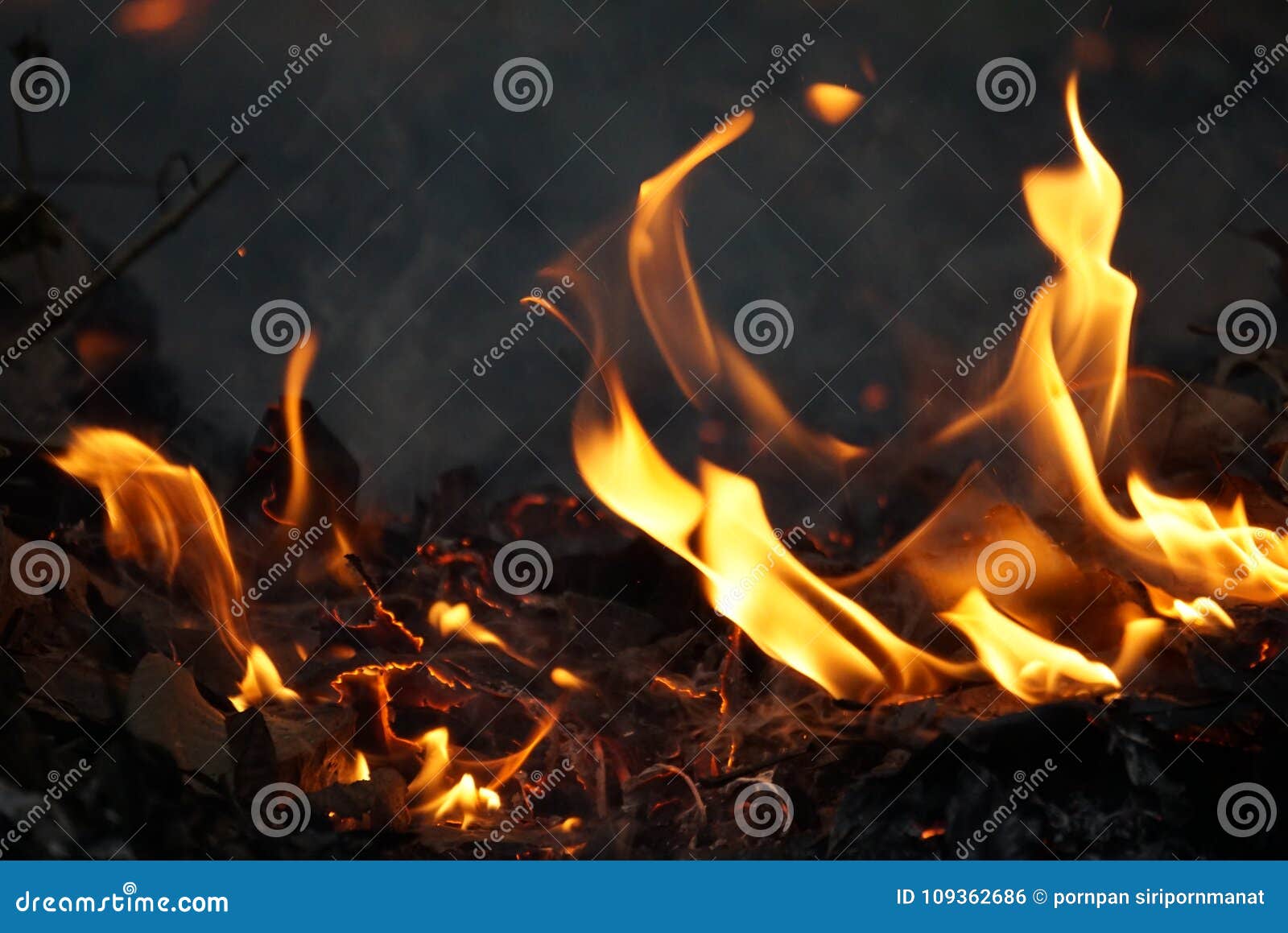 Vlam stock foto. Image of brand, heet, vlam, brandwond - 109362686