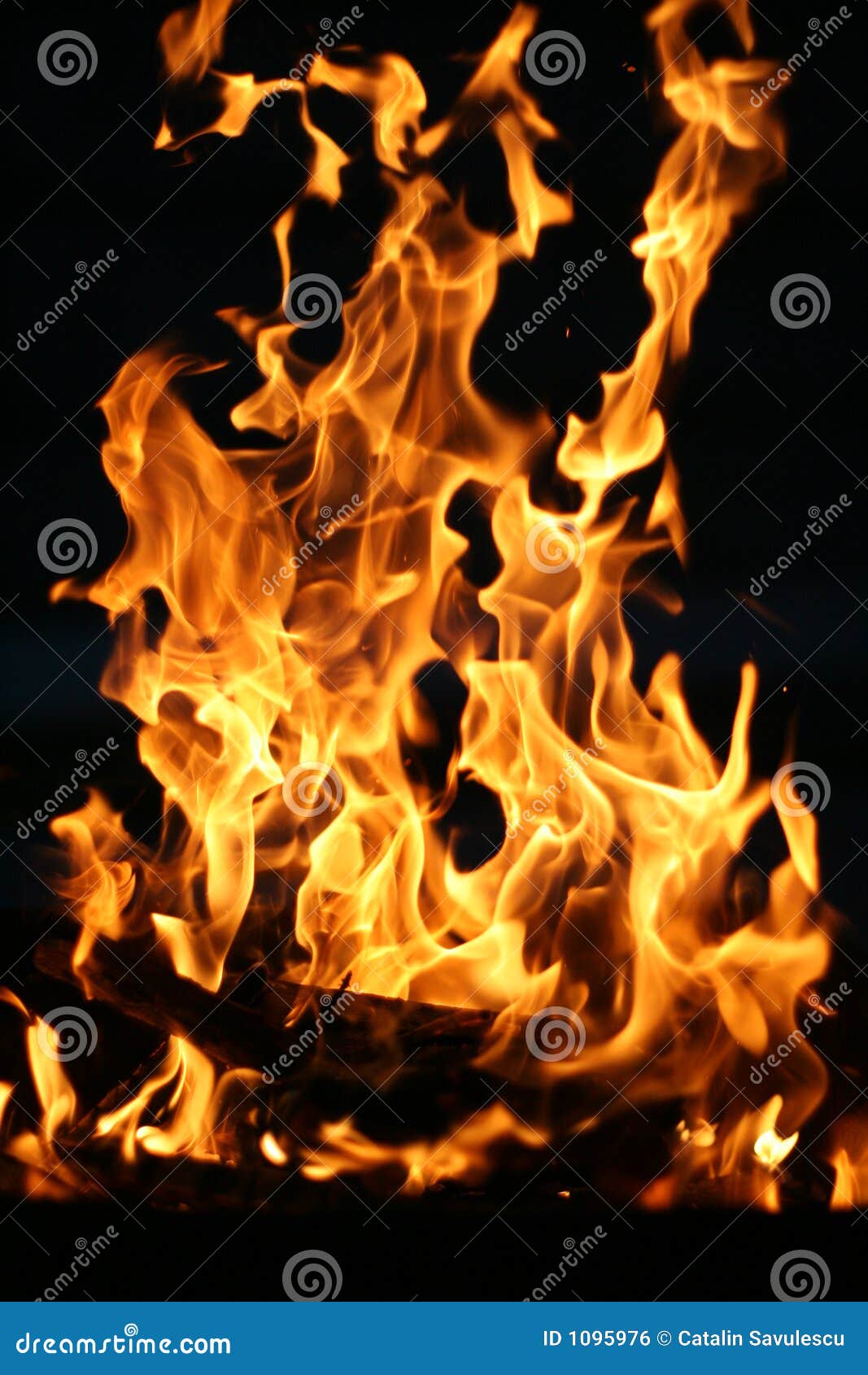 In vlam stock foto. Image of brand, aansteken, steenkool - 1095976