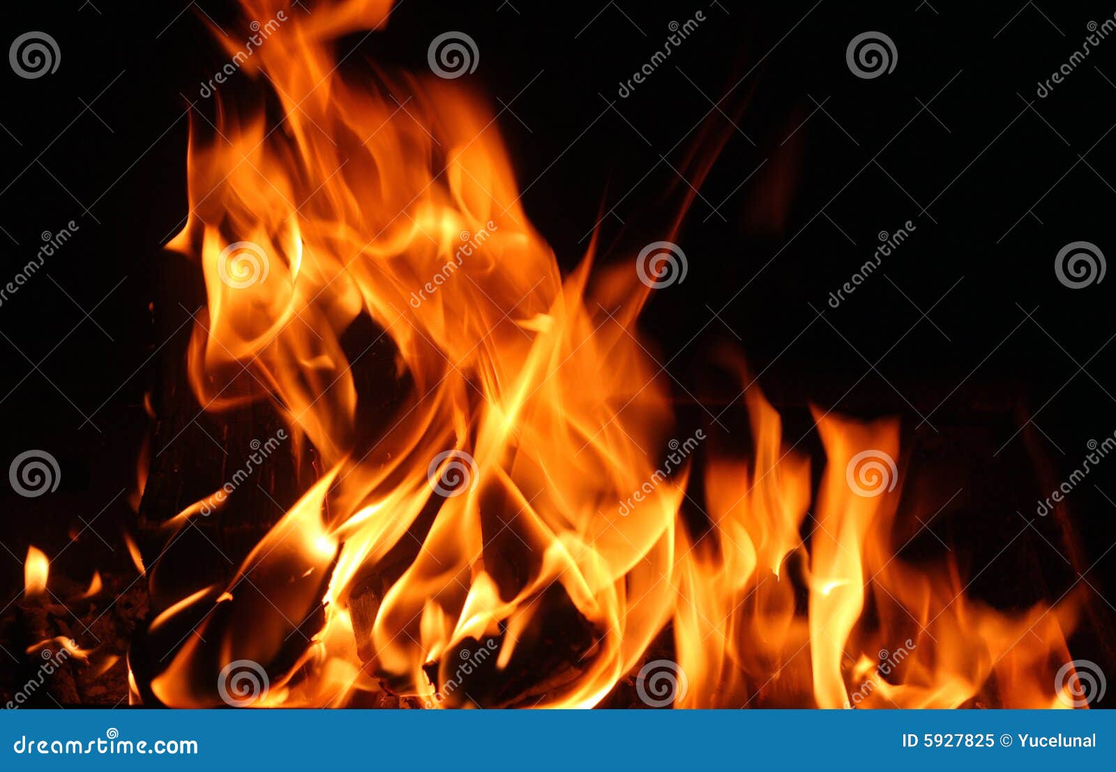 Vlammen Picture. Image: 5927825