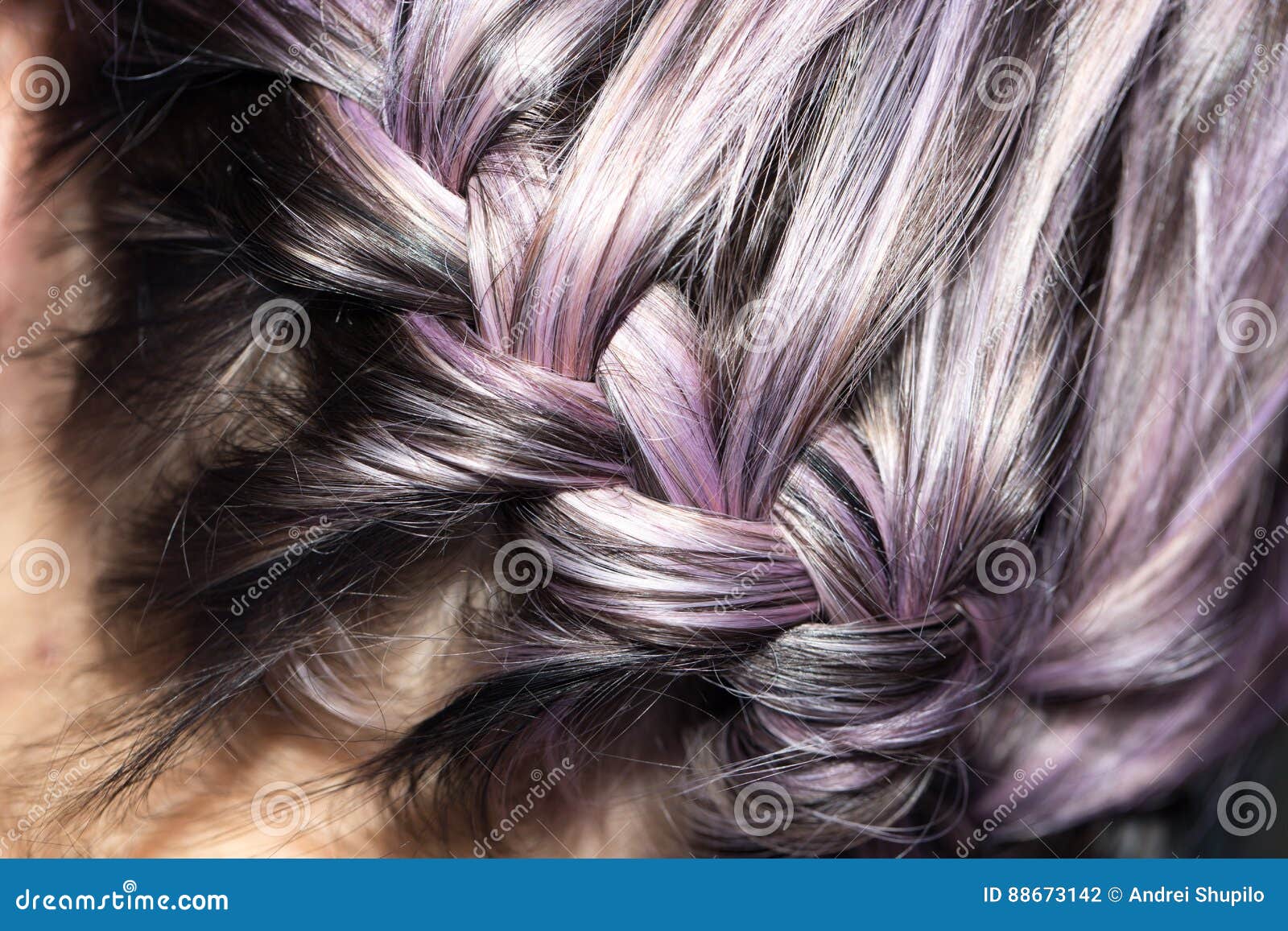 Vlecht van purper haar stock foto. Image of purper, haar - 88673142