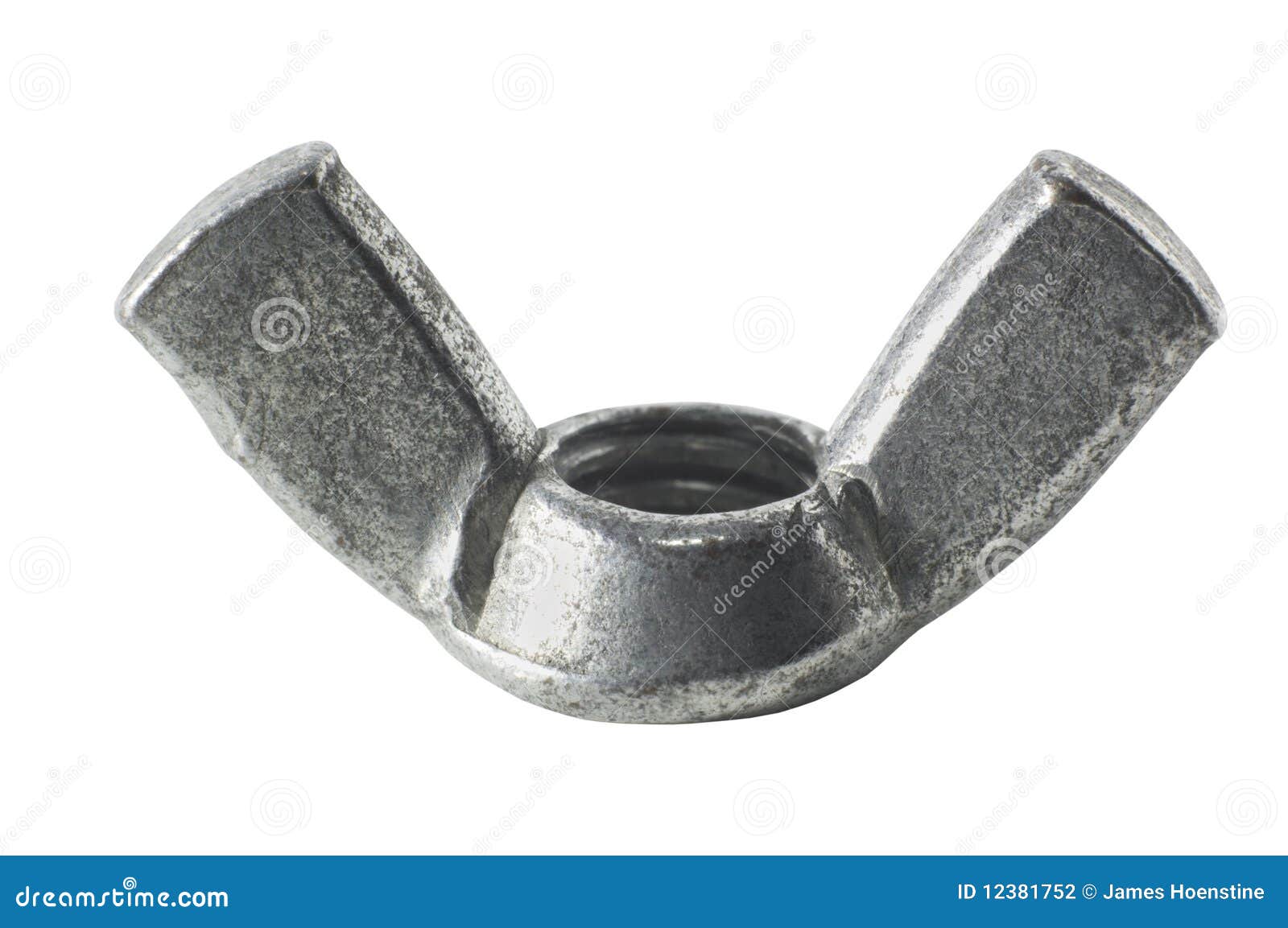 Vleugelmoer Op Wit Met Het Knippen Van Weg Stock Foto - Image of bout ...