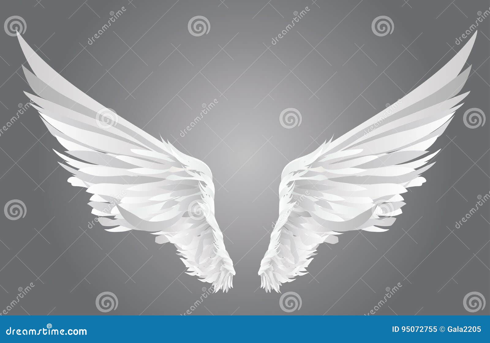 Vleugels Vector Illustratie Op Witte Achtergrond Rebecca 36 Vector ...