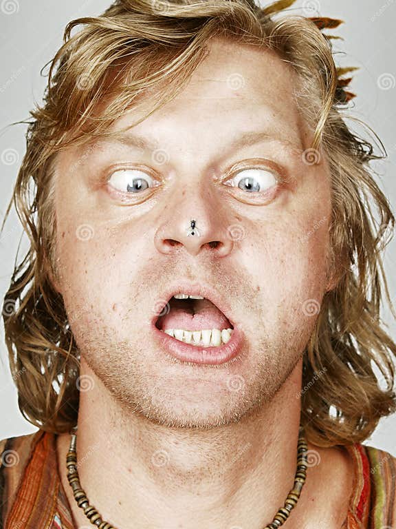 Vlieg op de neus stock foto. Image of kijk, persoon, begrip - 12956872