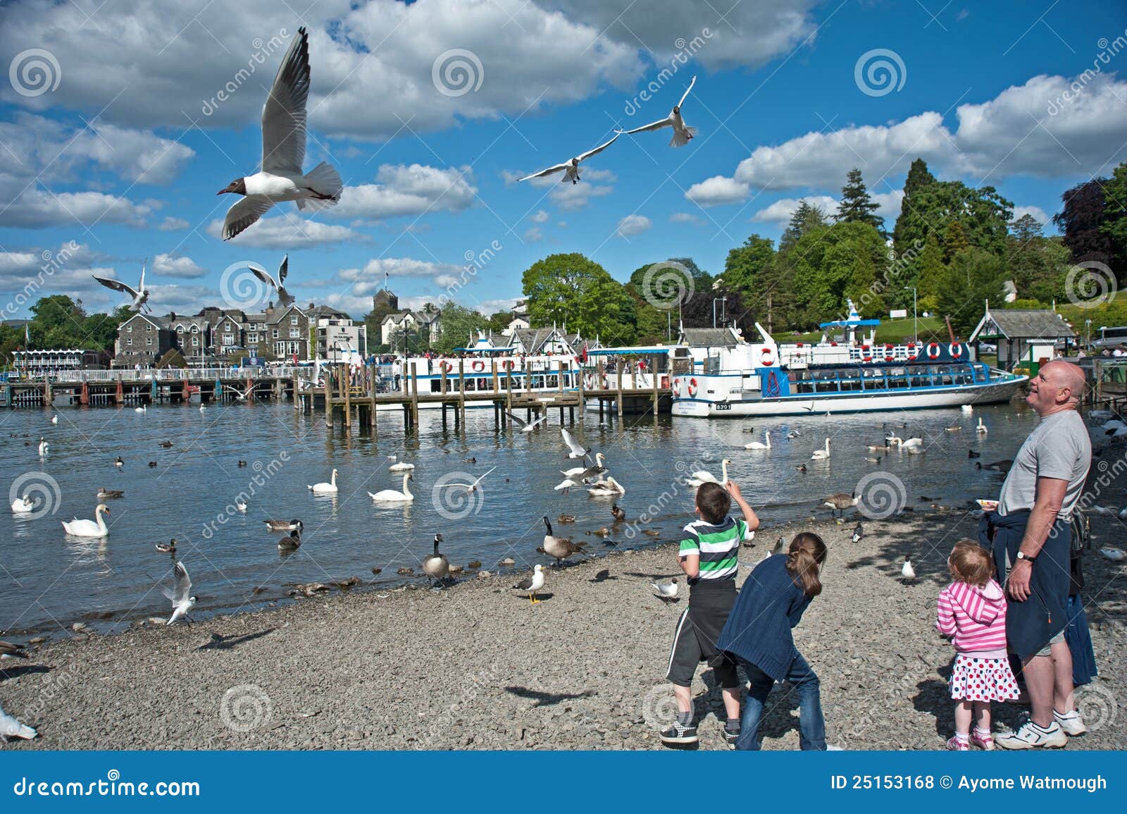 Vlieg Voorbij Over Meer Windermere Redactionele Stock Foto - Image of ...