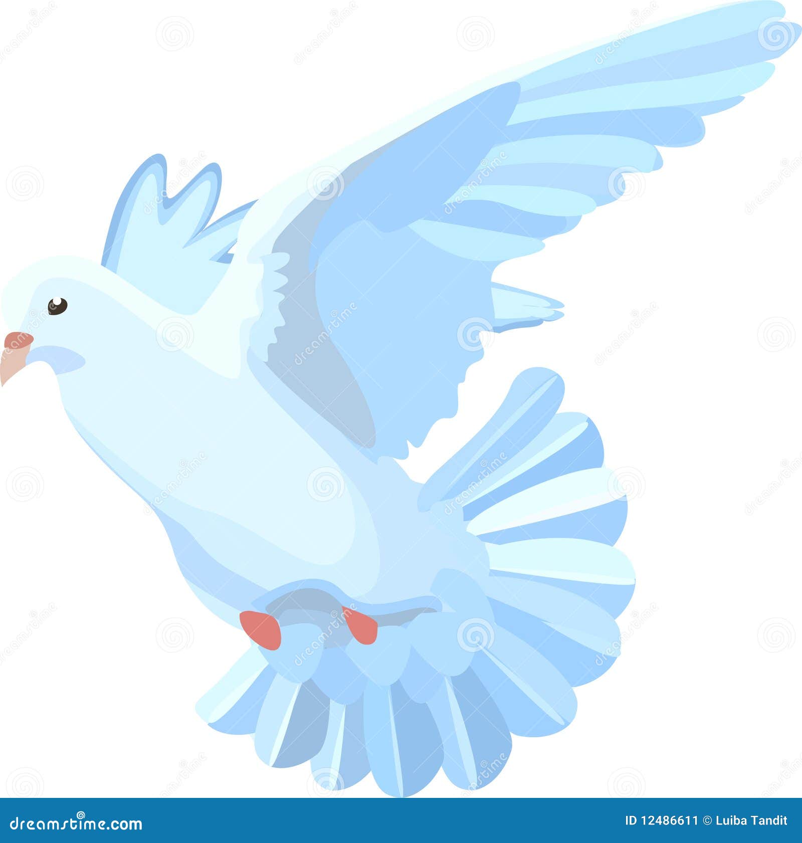 Vliegende duif vector illustratie. Illustration of geïllustreerd - 12486611