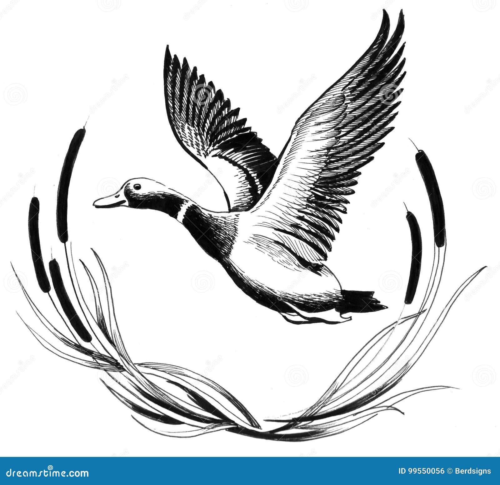 Vliegende eend stock illustratie. Illustration of jacht - 99550056