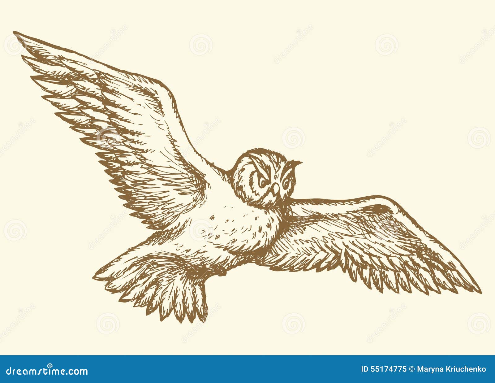 Vliegende Uil Vector Tekening Stock Illustratie - Illustration of vlieg ...