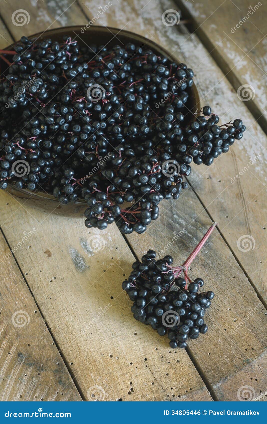 Vlierbes (Sambucus-ebulus) Fruit Stock Foto - Image of zoet ...