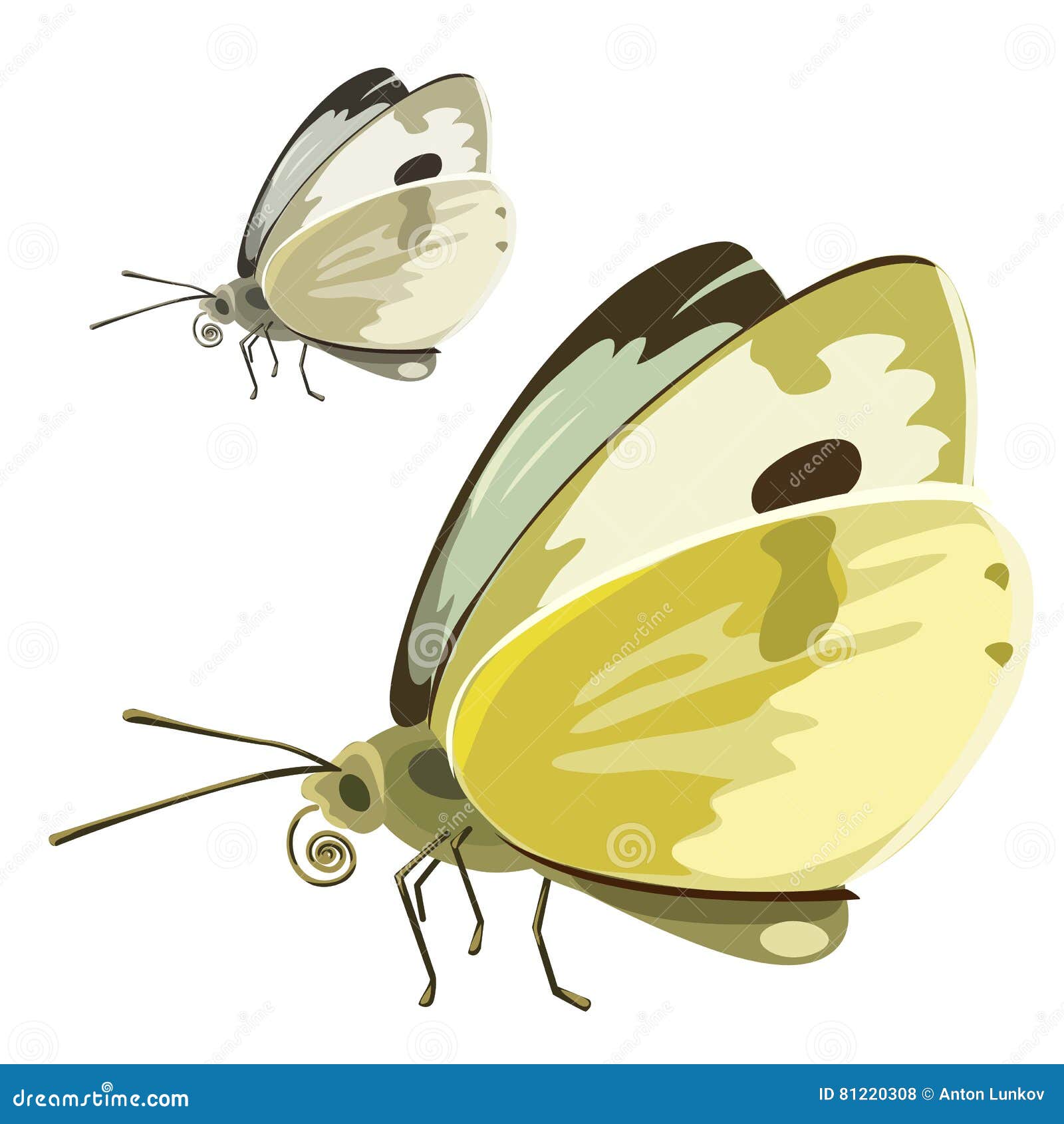 Vlinder Met Gele Vleugels Vectorinsect Vector Illustratie ...