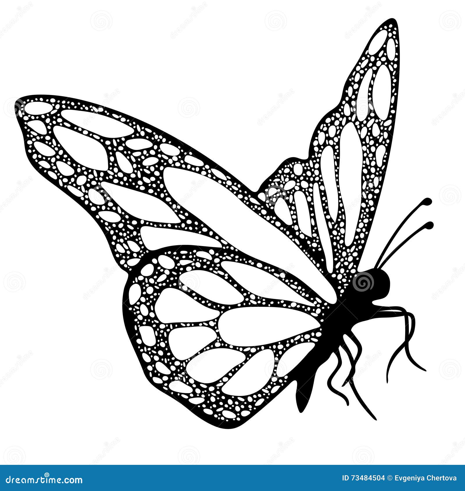 Vlinderrand Clipart Zwart Wit Pagina 3 | Vlinder Zwart Wit Ontwerp