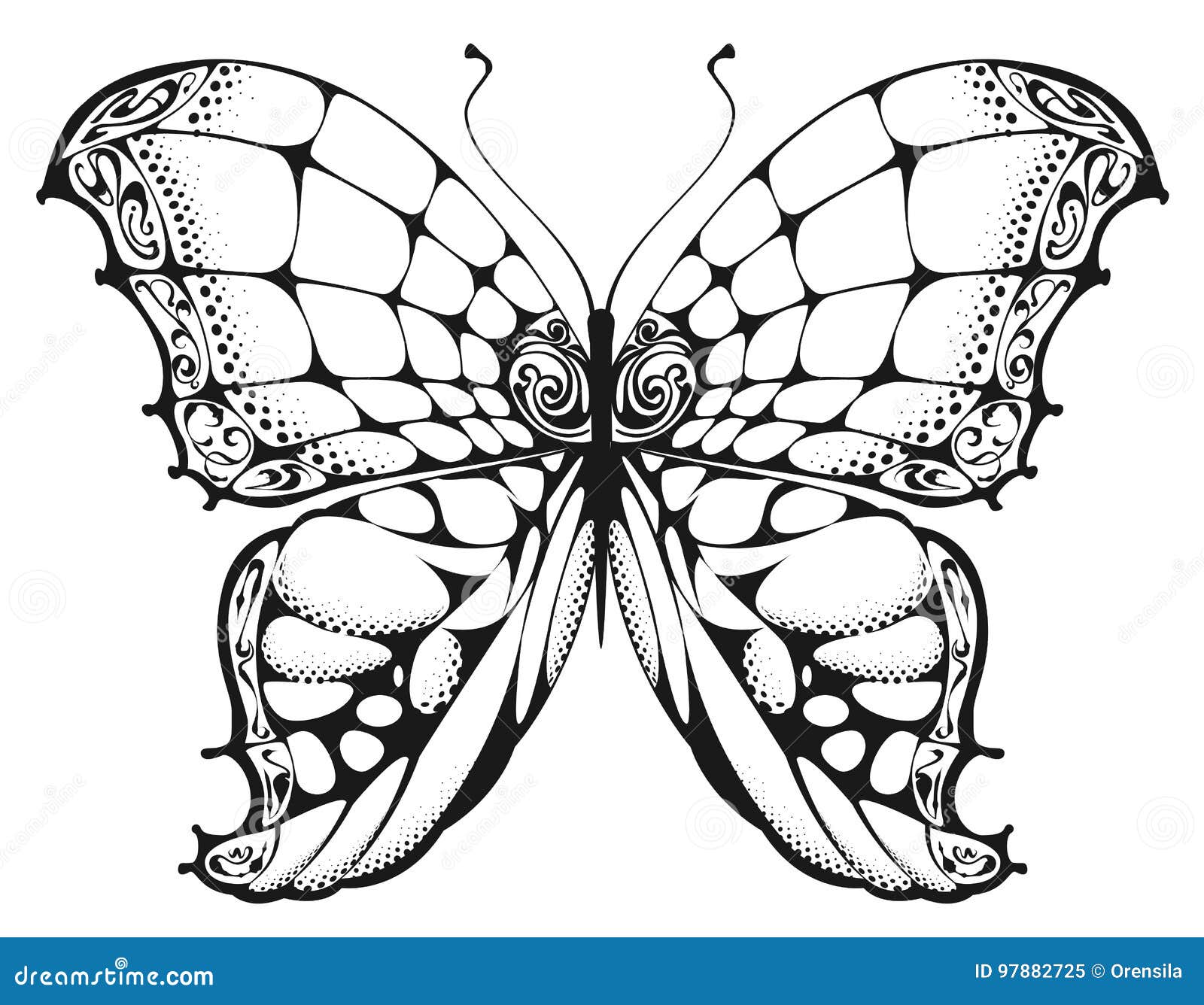 Vlinder Zwart-witte Tekening Vector Illustratie - Illustration of ...