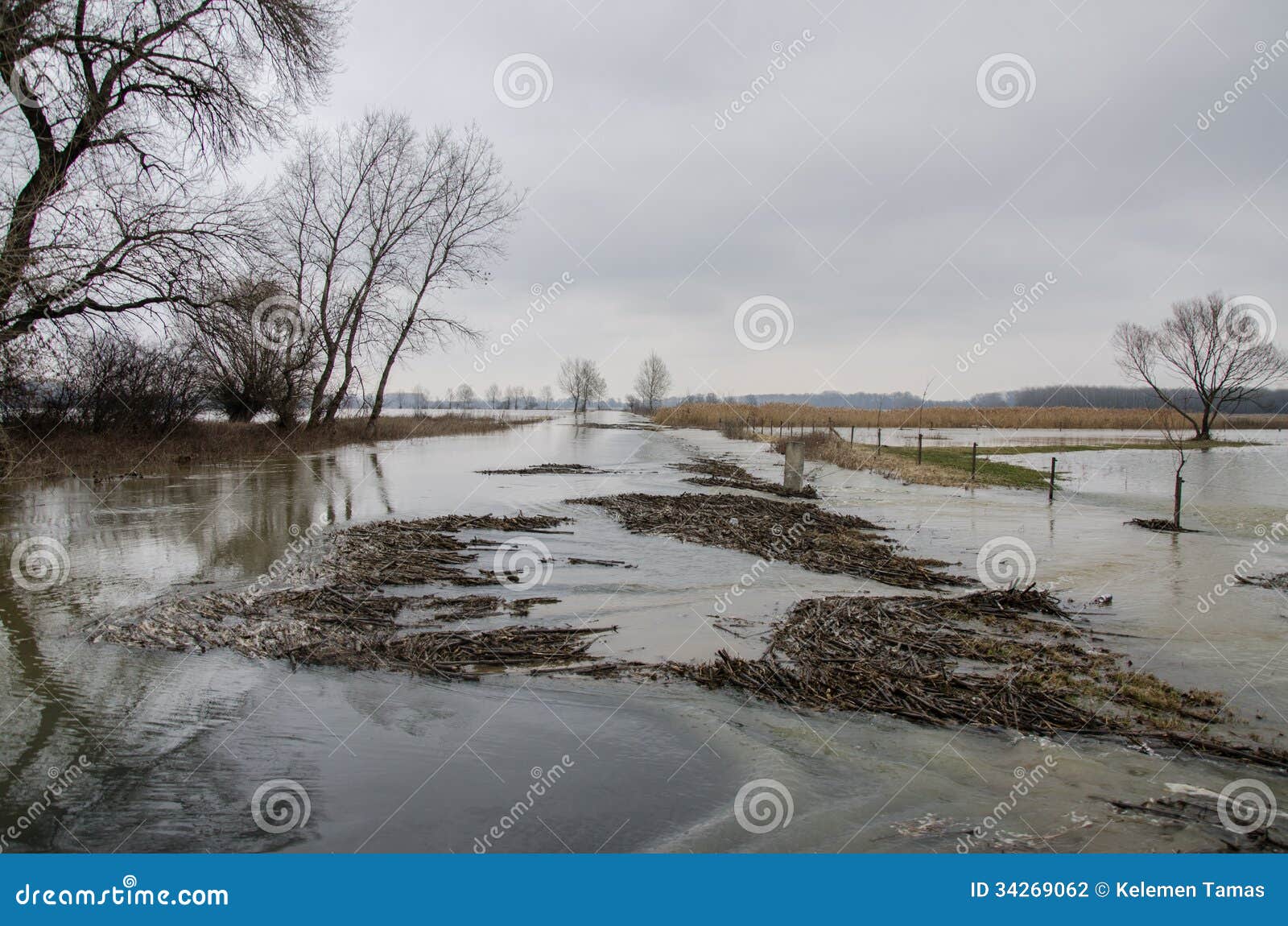Vloed stock foto. Image of donau, naughty, klimaat, buiten - 34269062